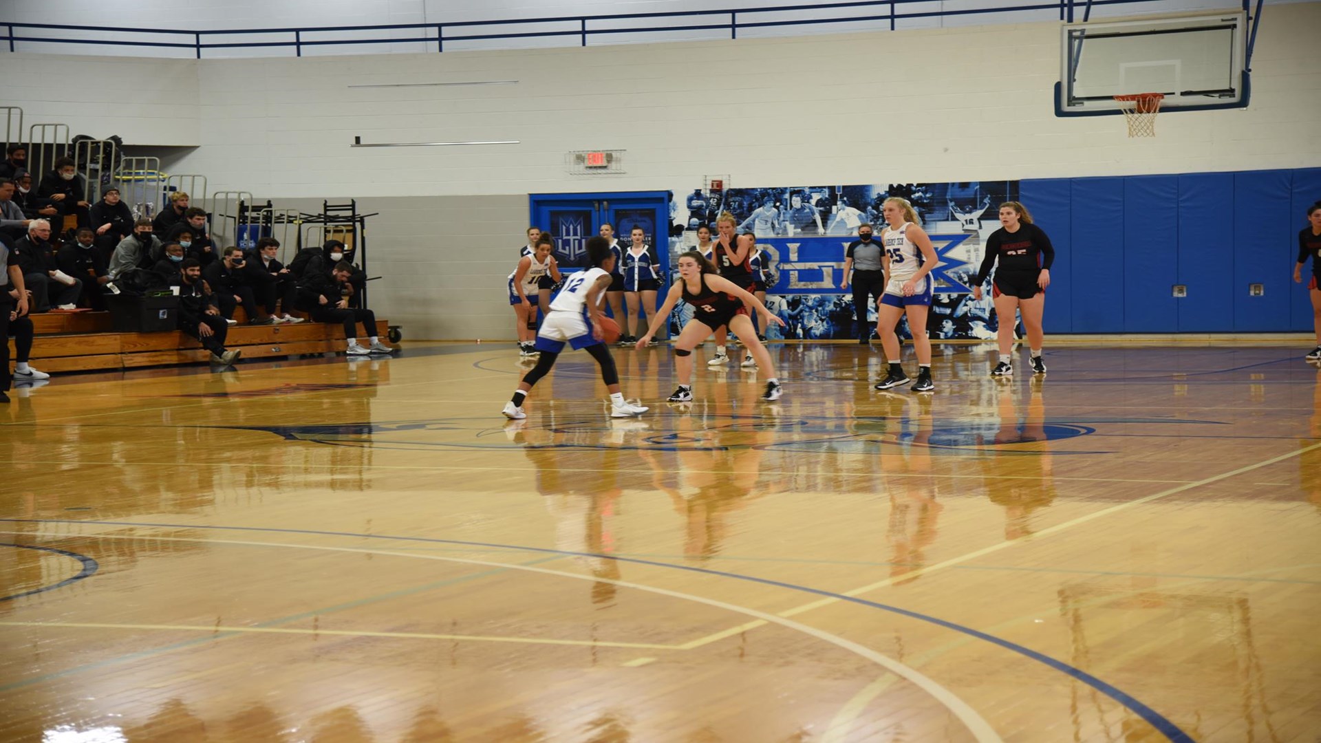 Kendall Fisher - 2022-23 - Women's Basketball - Lawrence Technological ...