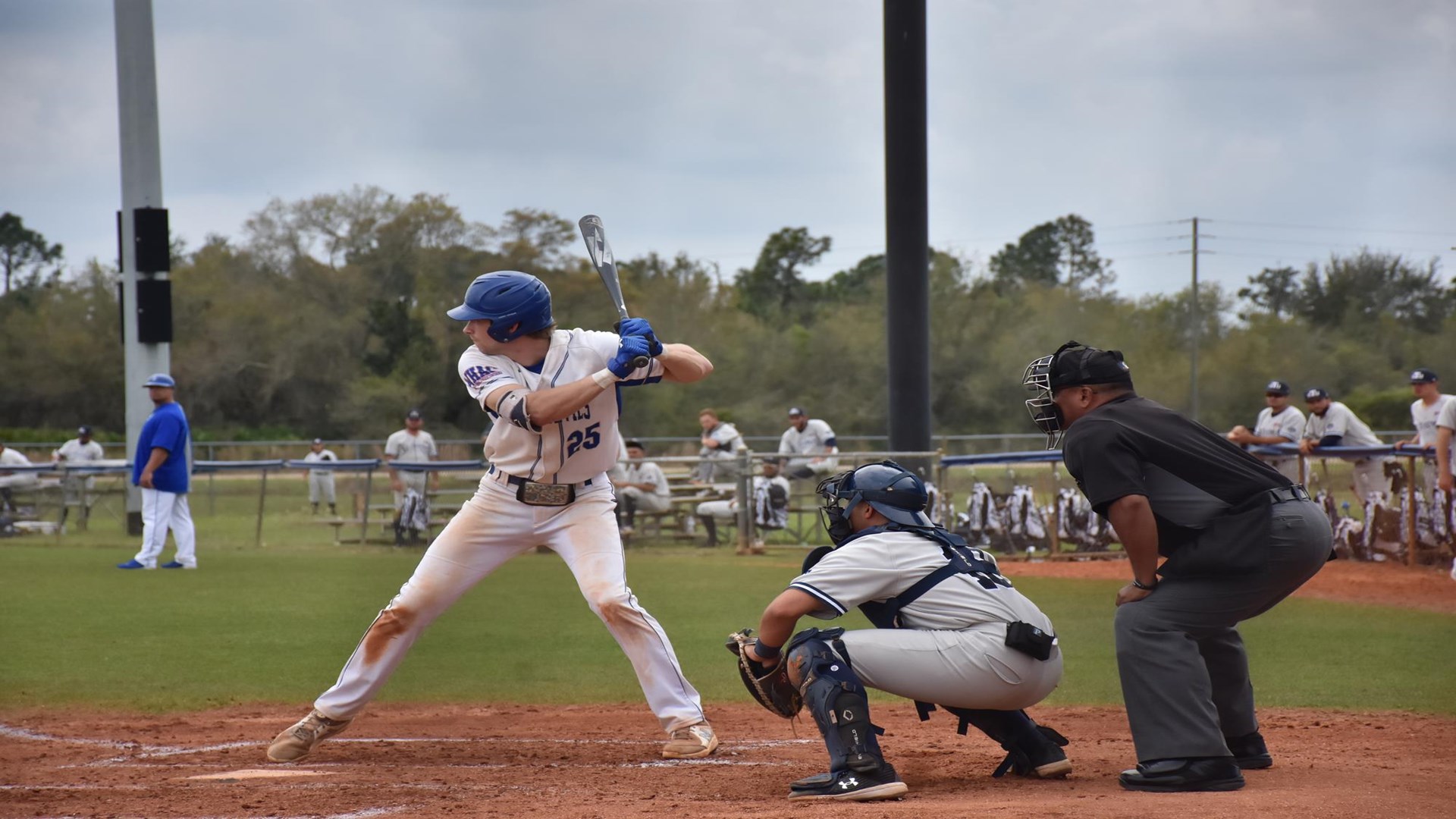 Jackson Walkowiak - 2023 - Baseball - Lawrence Technological University