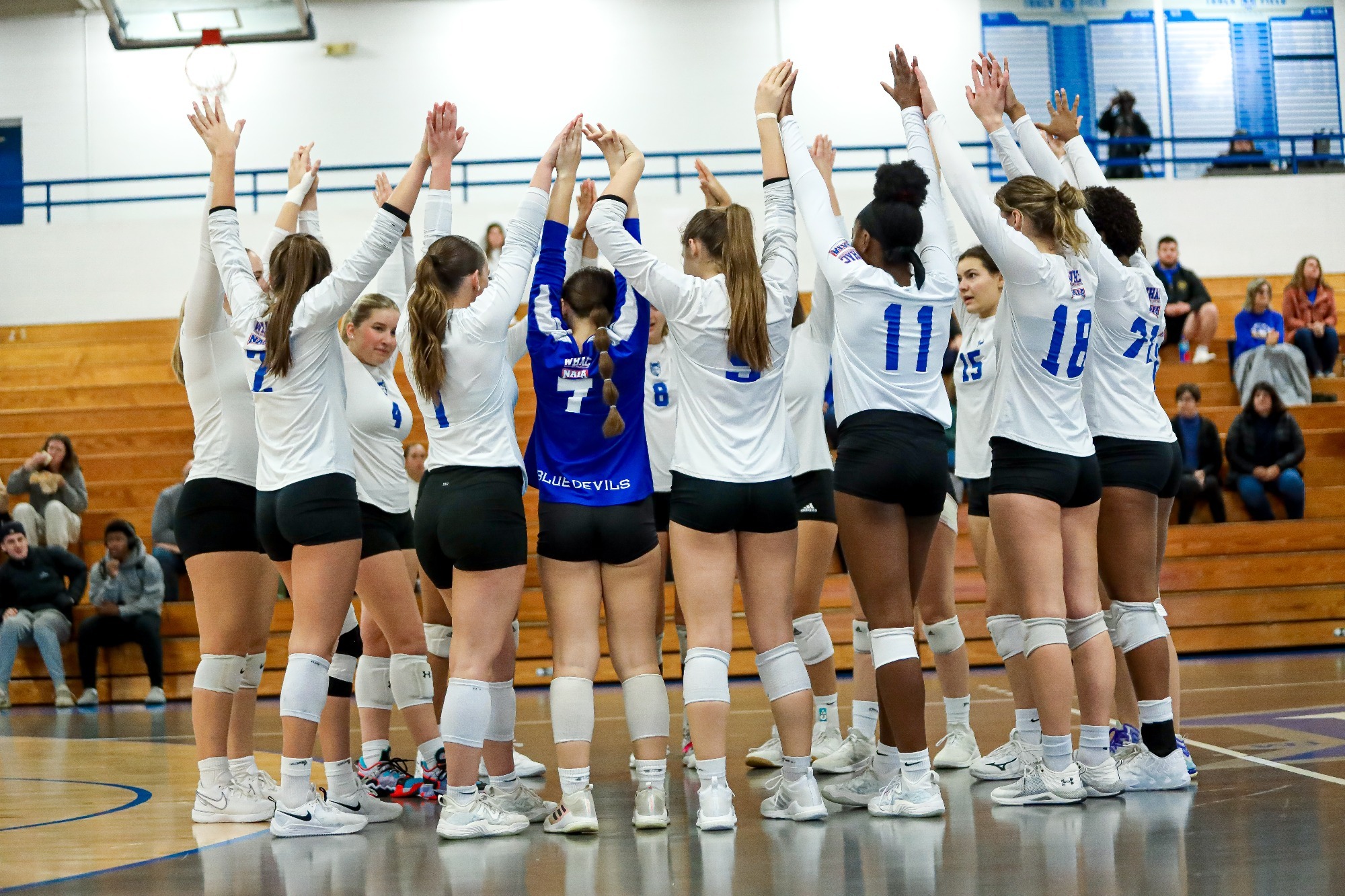 Valiant Comeback on the Road Falls Just Short for Women's Volleyball ...
