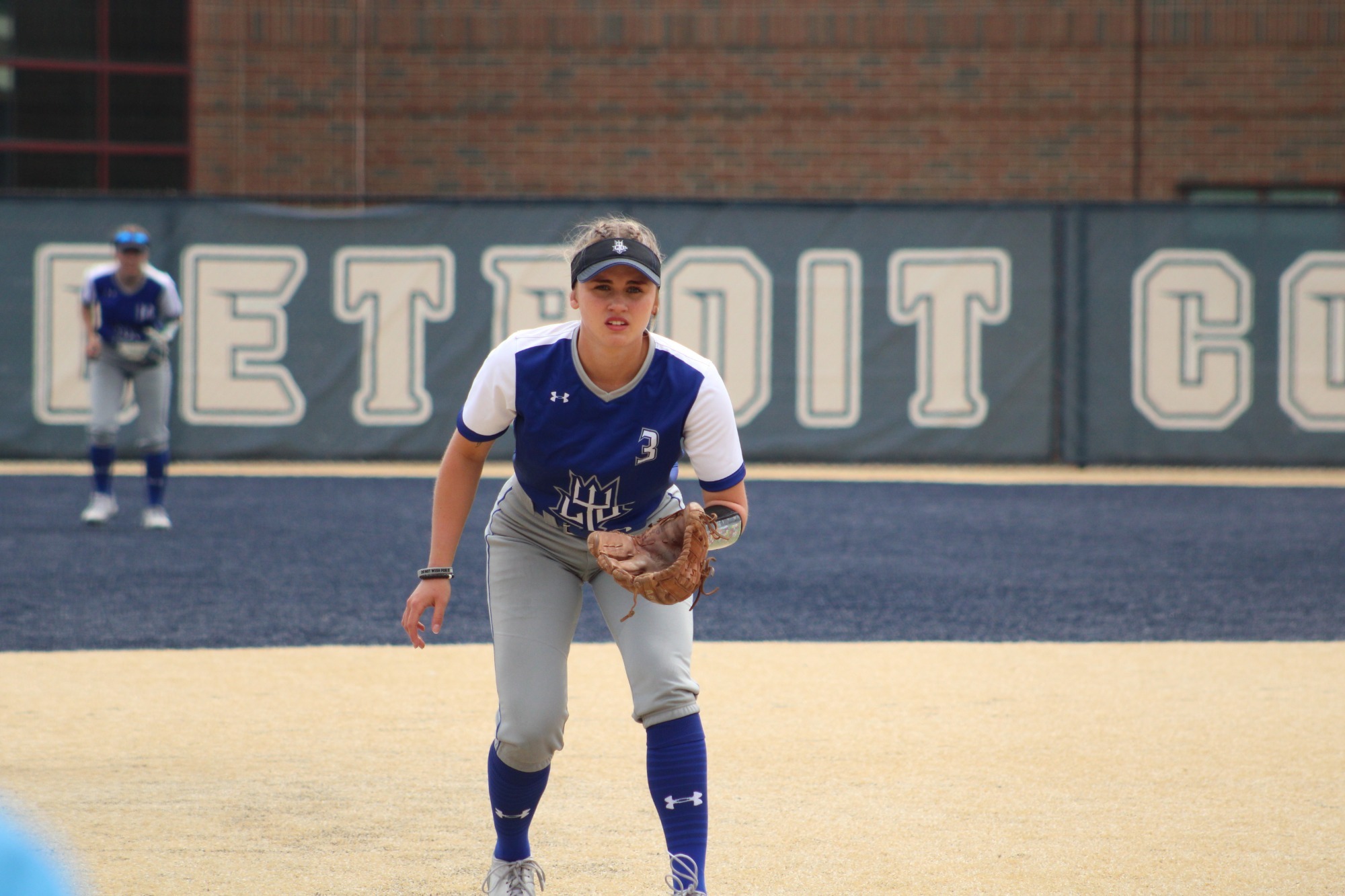 Blue Devils Go Down Swinging Against Aquinas - Lawrence Technological ...