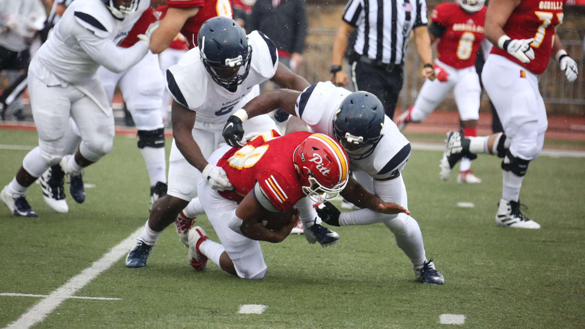 Elliott Albert - 2019 - Football - Lincoln University Athletics