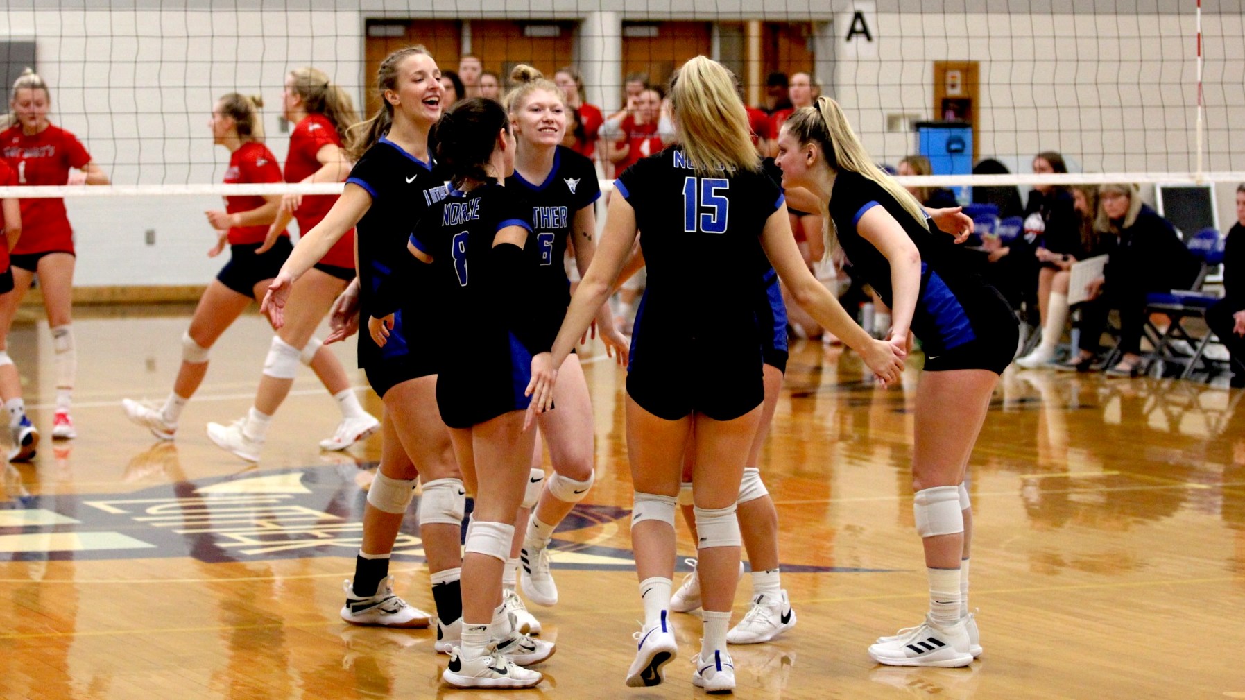 Norse clip Cardinals in five-set thriller - Luther College