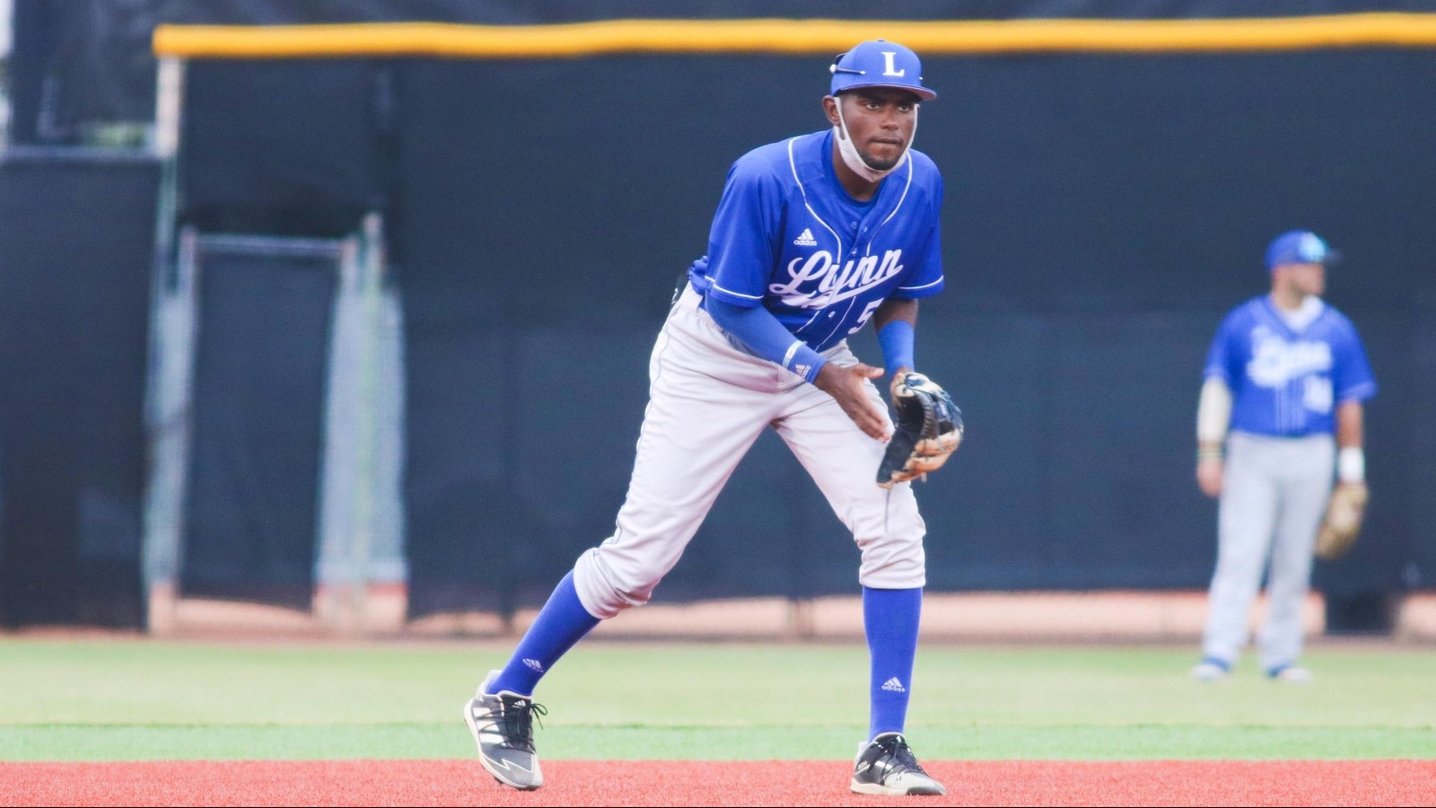 Lynn Baseball Drops Doubleheader at Rollins - Lynn University