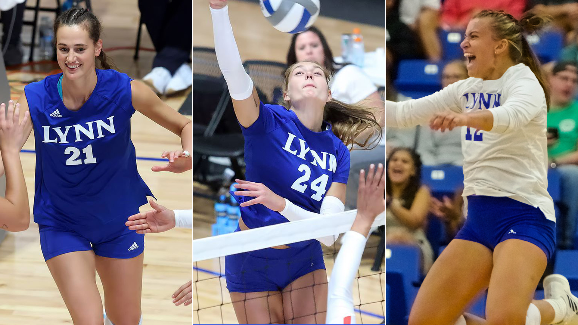 Trio nab SSC weekly awards - Lynn University