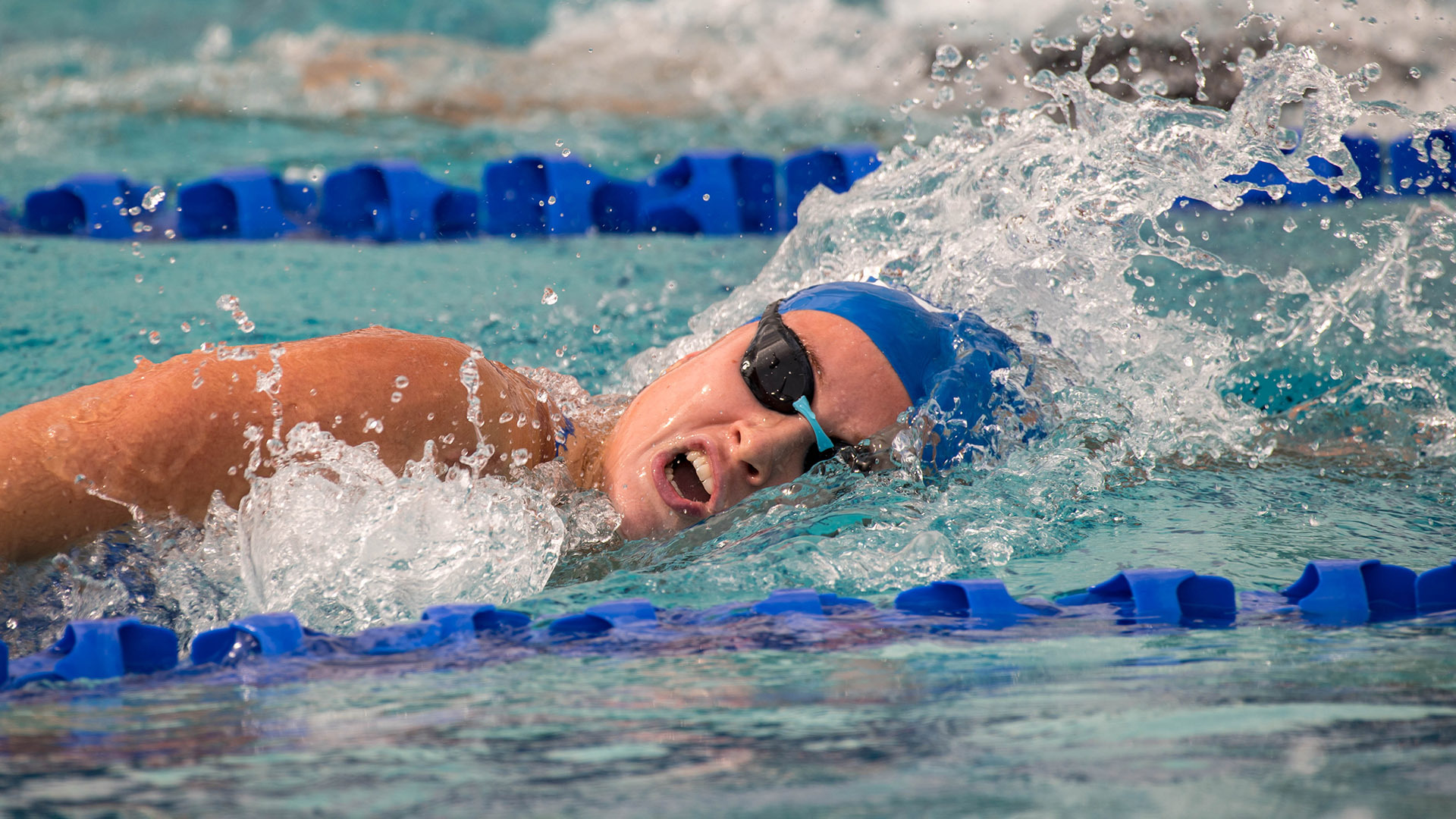 2023-24 swimming schedule announced - Lynn University
