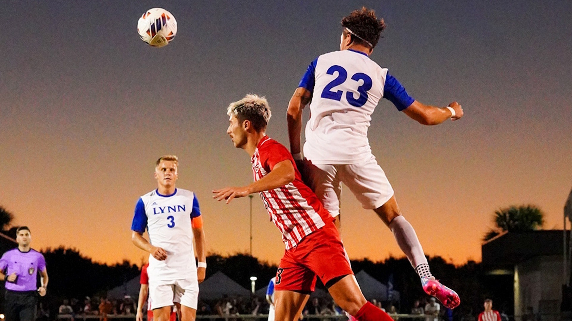 Lynn drops SSC tilt against Barry - Lynn University
