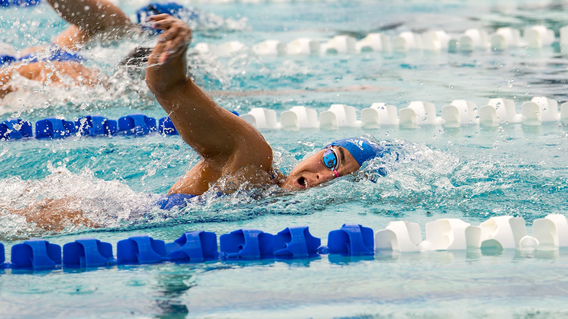 Lynn swimming teams close regular season at Florida Tech - Lynn University