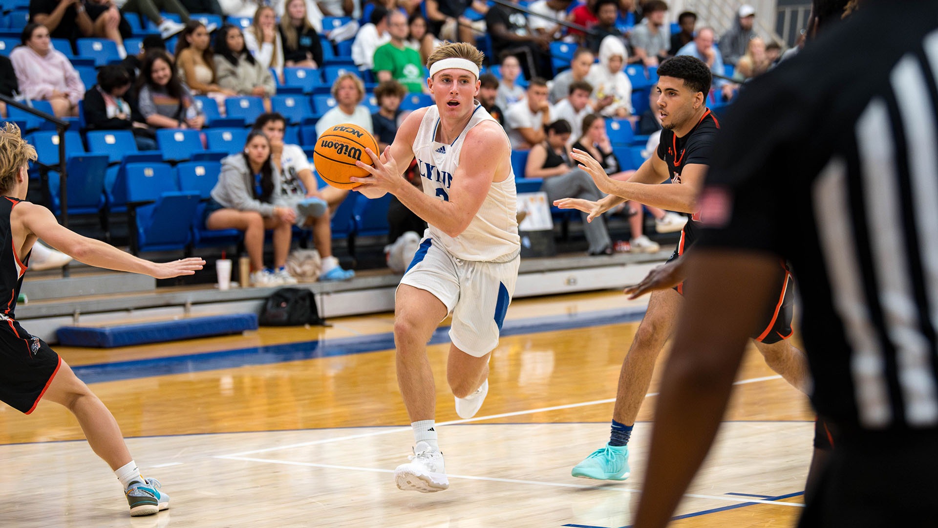 Brad McCabe - 2023-24 - Men's Basketball - Lynn University