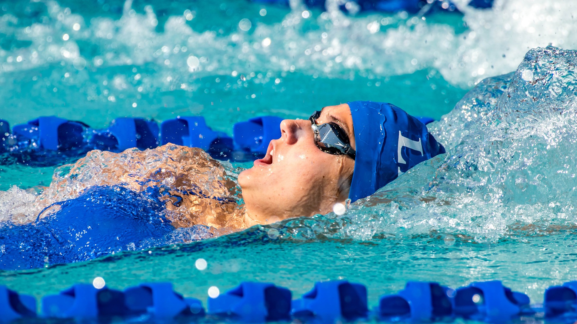 Five swimmers and five relay teams qualify for NCAA Championships ...