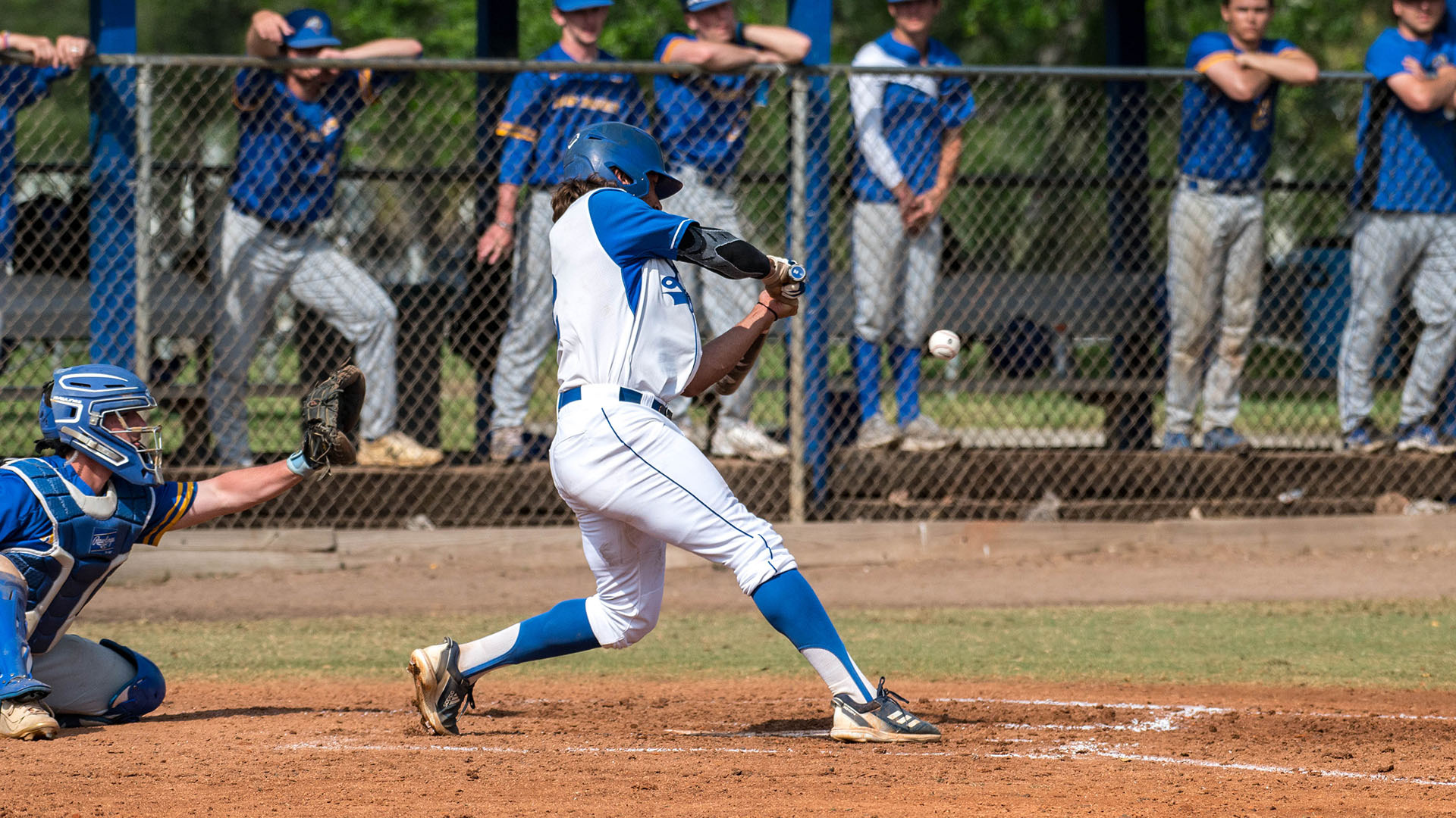 Fighting Knights fall late at Barry - Lynn University