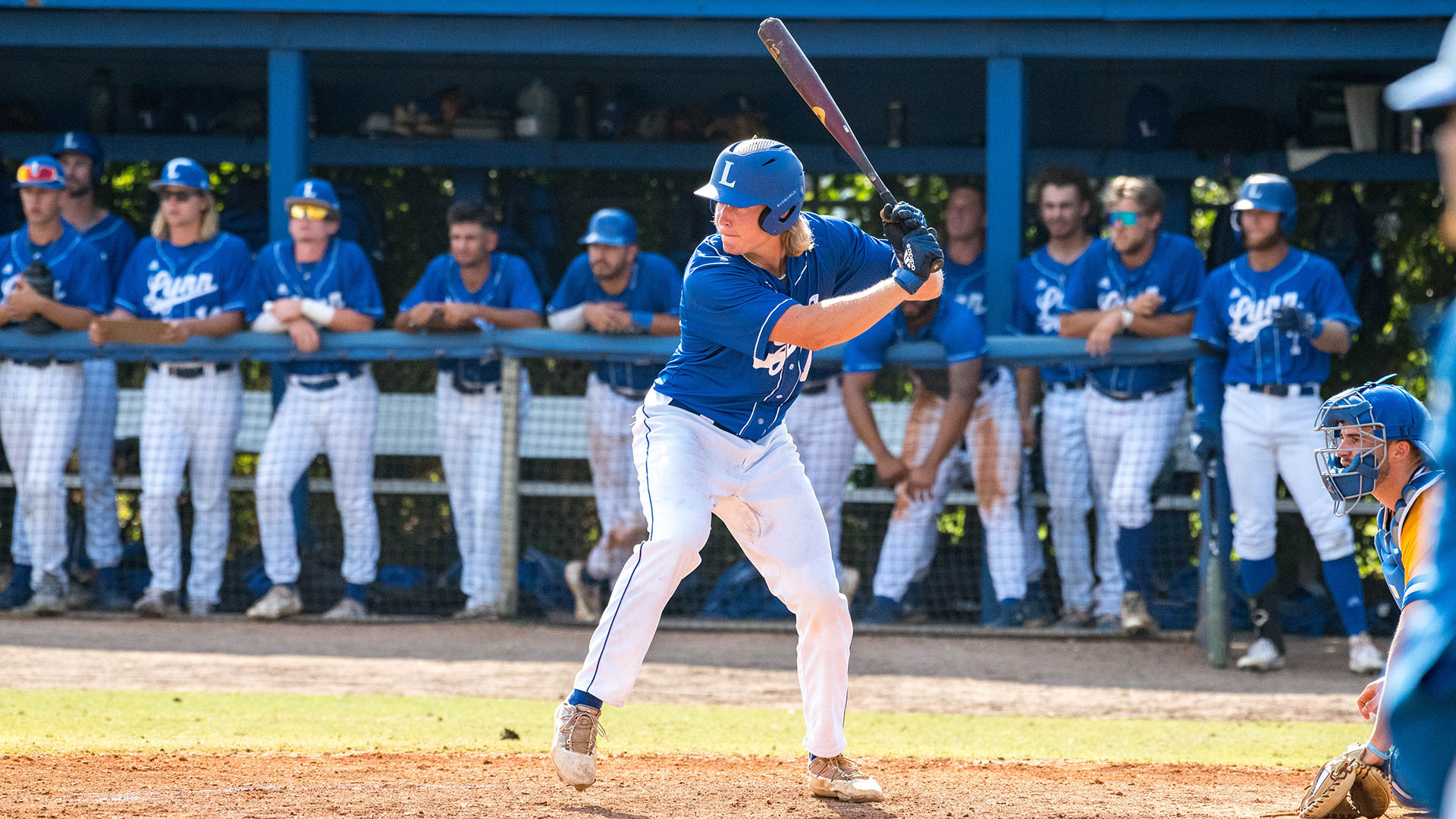 Fighting Knights fall to Rollins, 6-3 - Lynn University