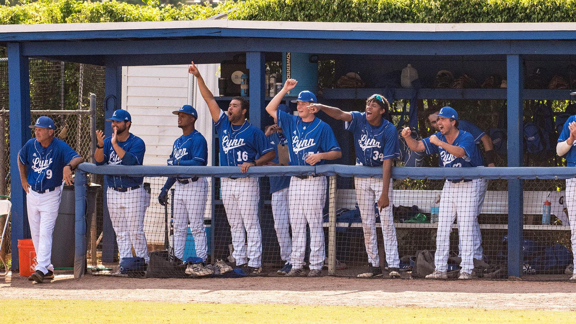 Romanias strikes out 13 in Fighting Knights win - Lynn University