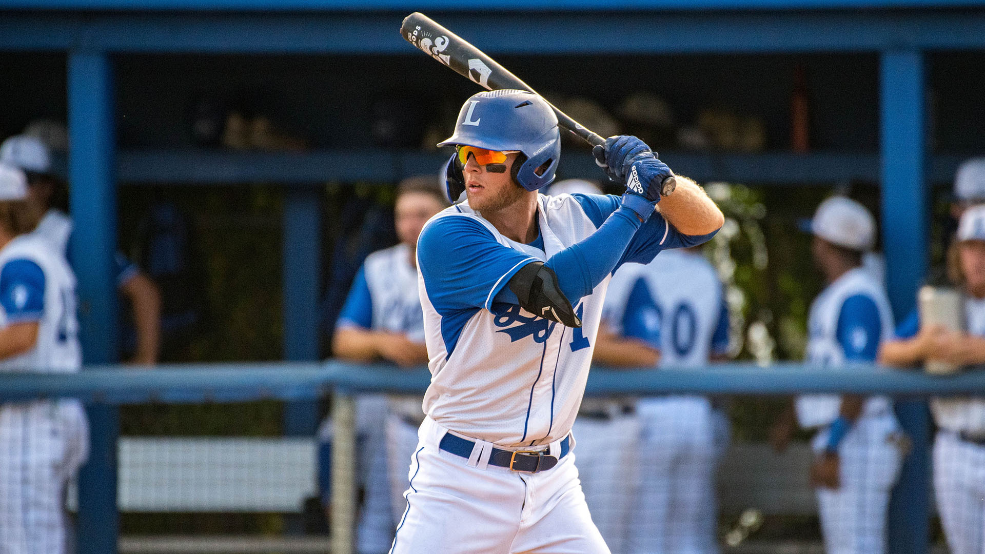 Ryan Ford - 2023 - Baseball - Lynn University