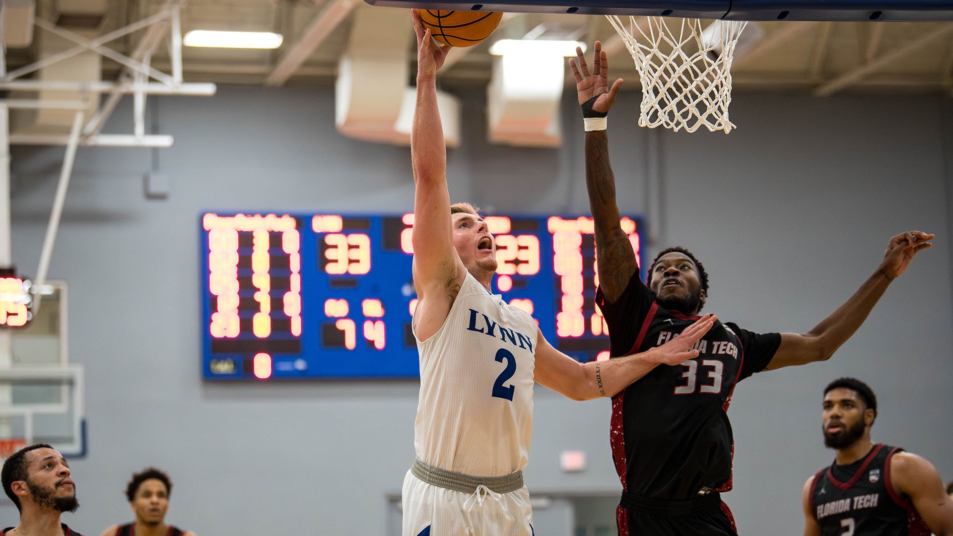 Brad McCabe - 2023-24 - Men's Basketball - Lynn University