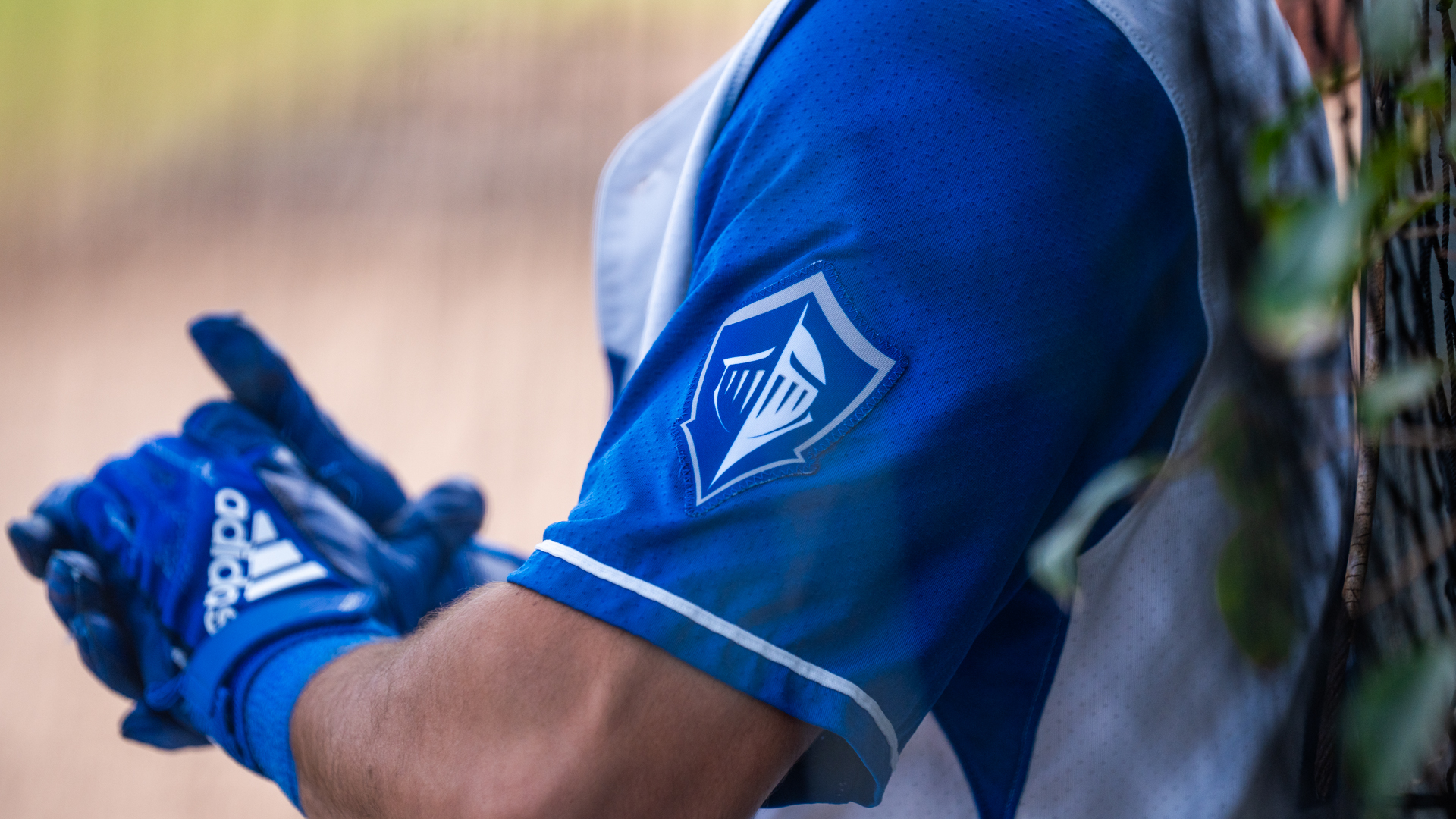 Baseball announces weekend schedule changes - Lynn University