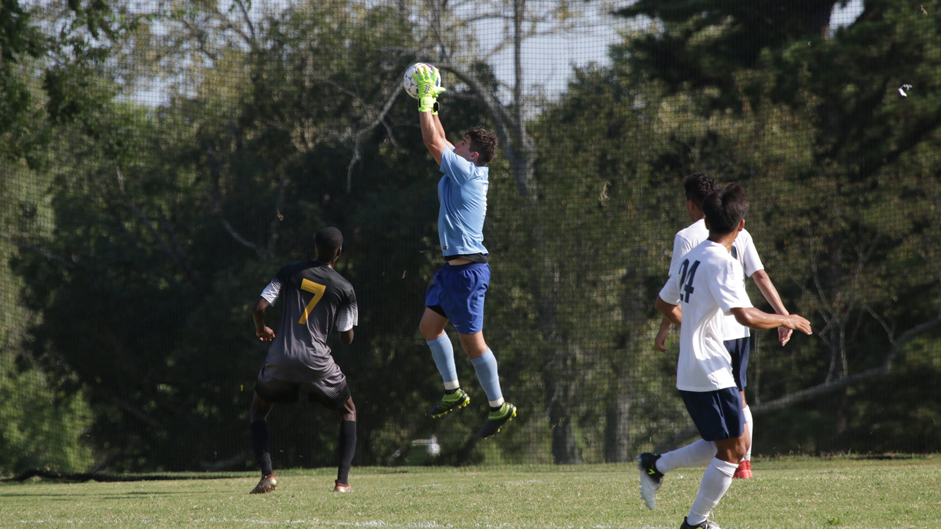 Scots Blank Lynx, 3-0 - Lyon College