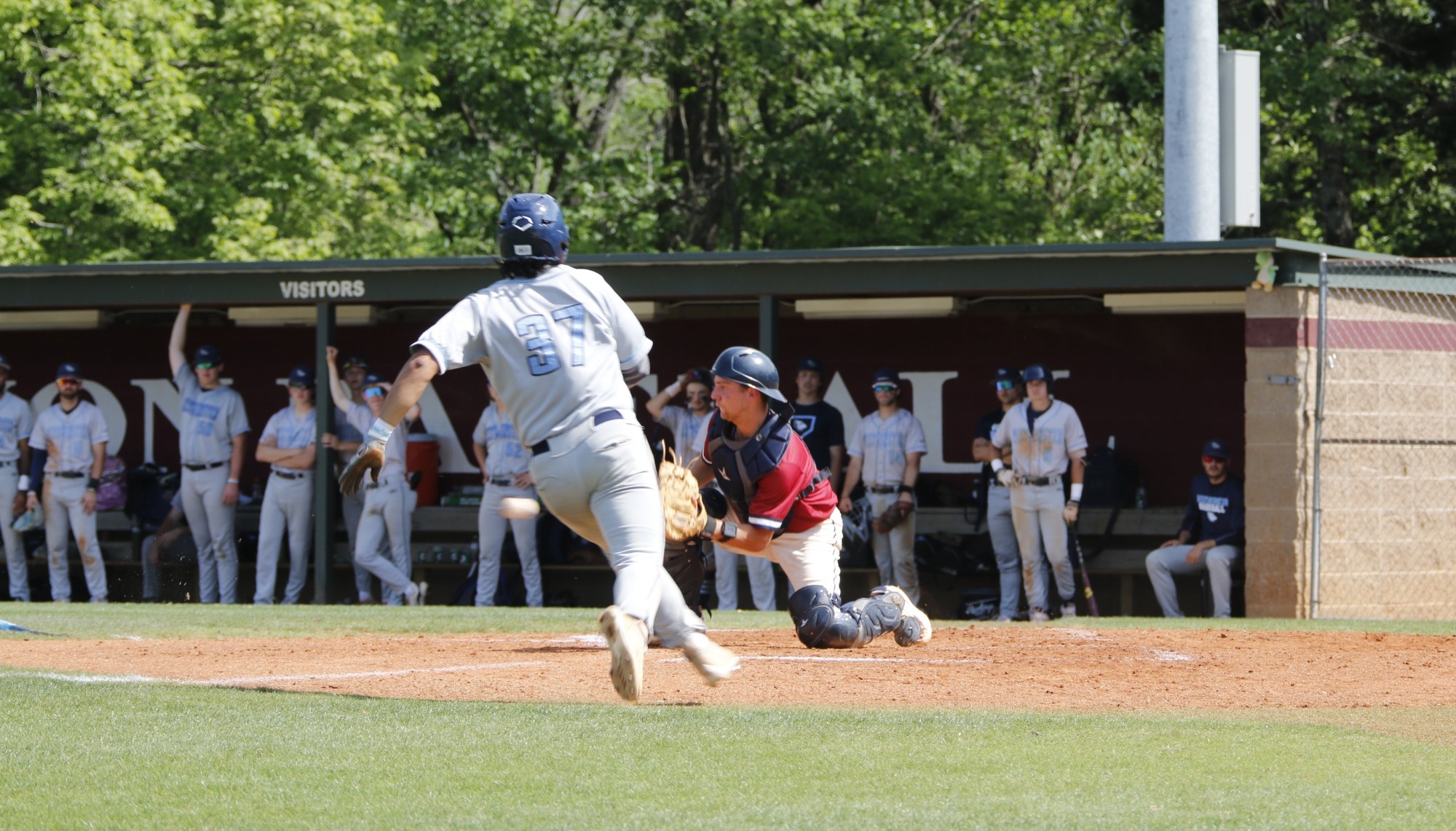 Scots baseball scores 26 runs in SLAIC sweep of Westminster - Lyon College