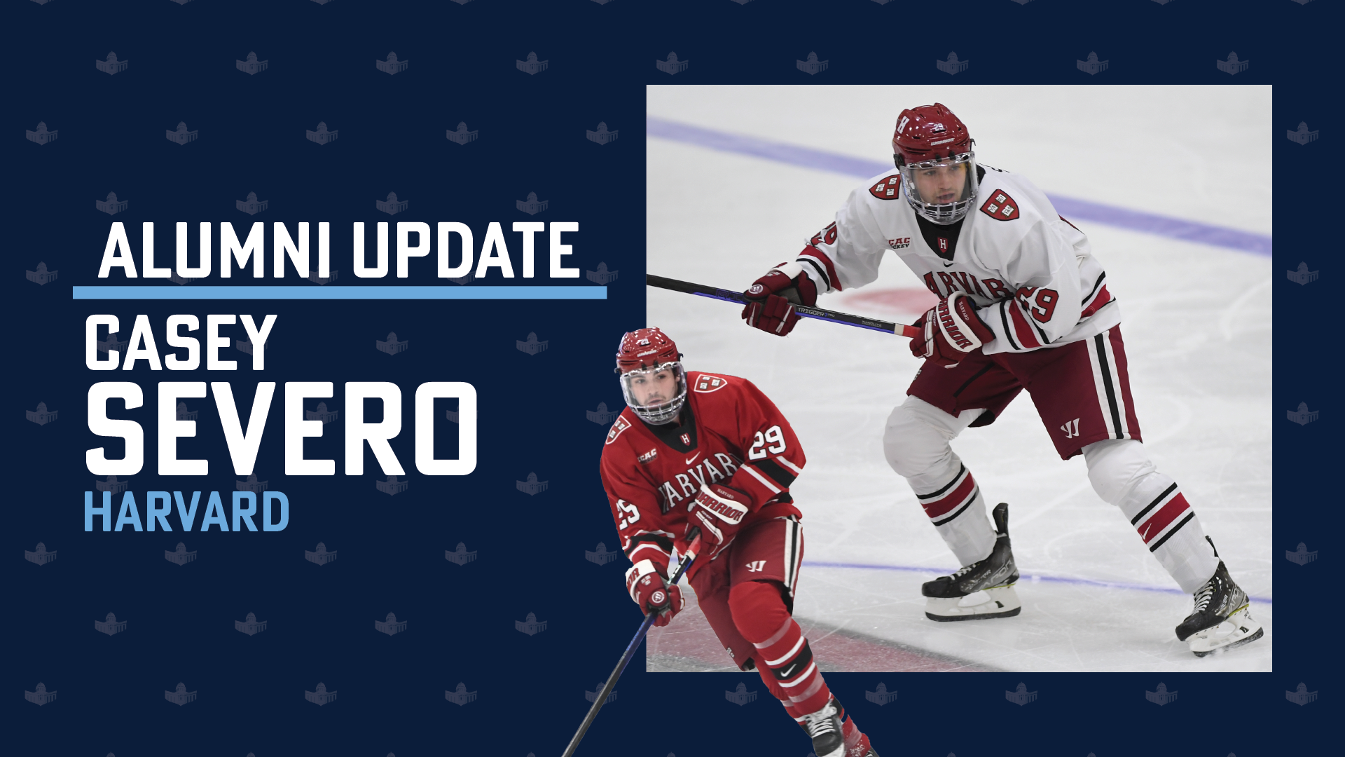 Alumni Update: Casey Severo - Madison Capitols