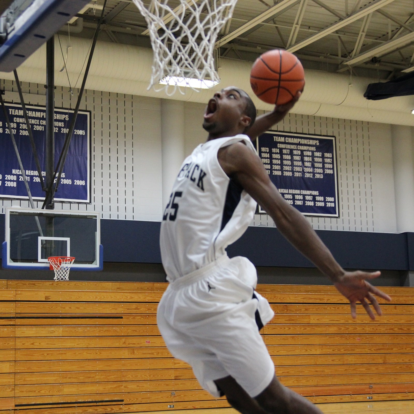 Xavier Robinson - 2012-13 - Men's Basketball - Madison College Athletics