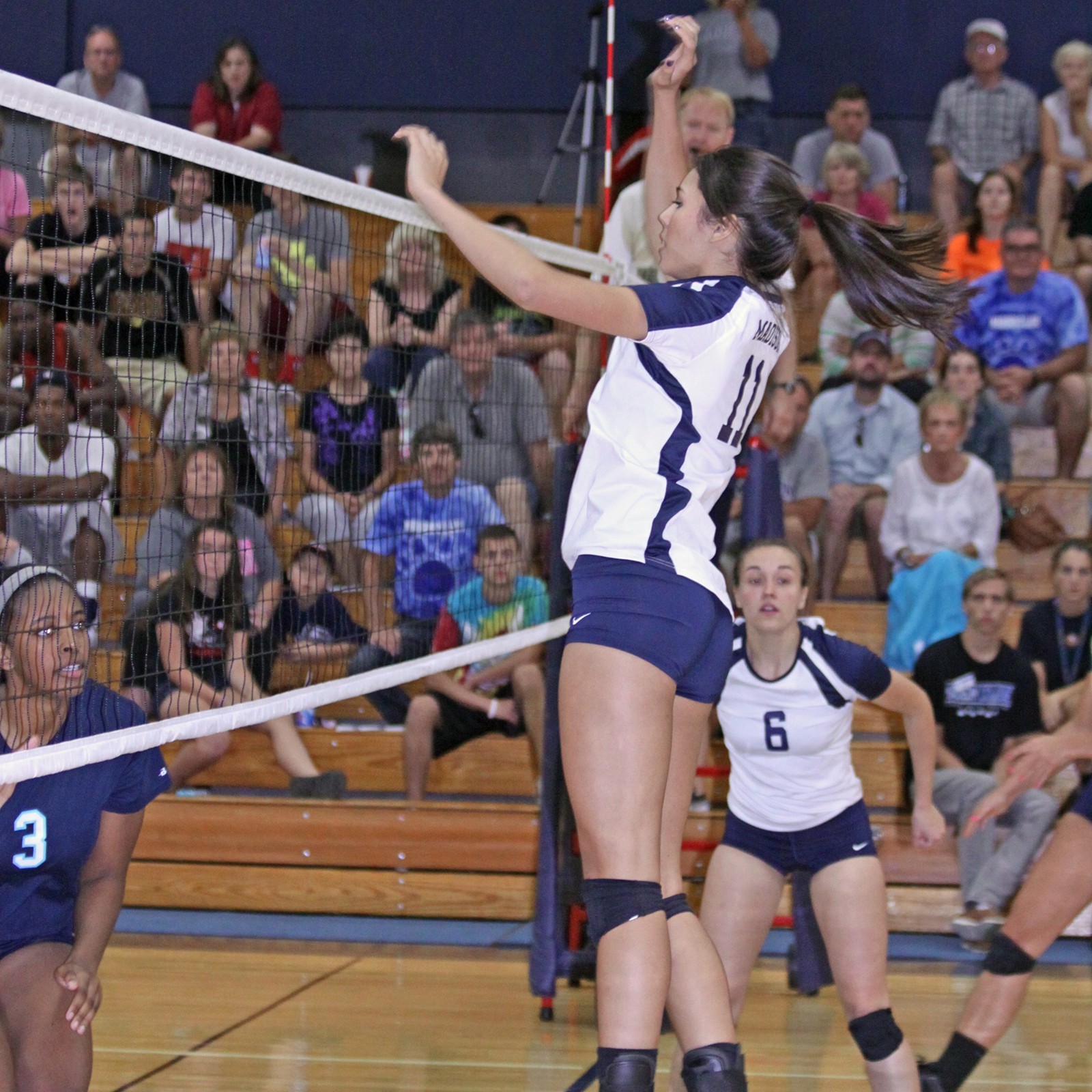 Mikayla Nigl - 2014 - Women's Volleyball - Madison College Athletics