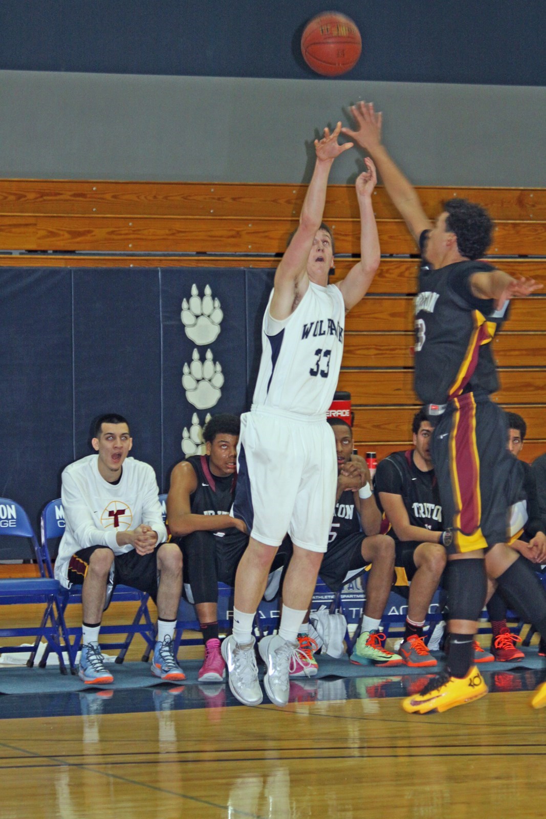 Nathan Scheeter - 2013-14 - Men's Basketball - Madison College Athletics