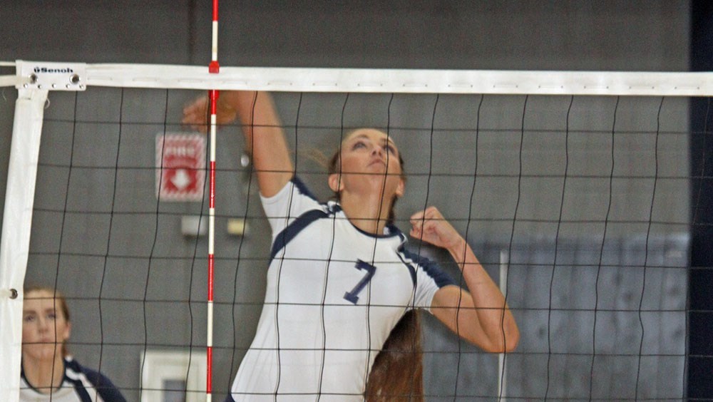 Mandi Sargent - 2016 - Women's Volleyball - Madison College Athletics