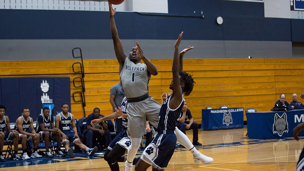 Tyree Young - 2017-18 - Men's Basketball - Madison College Athletics