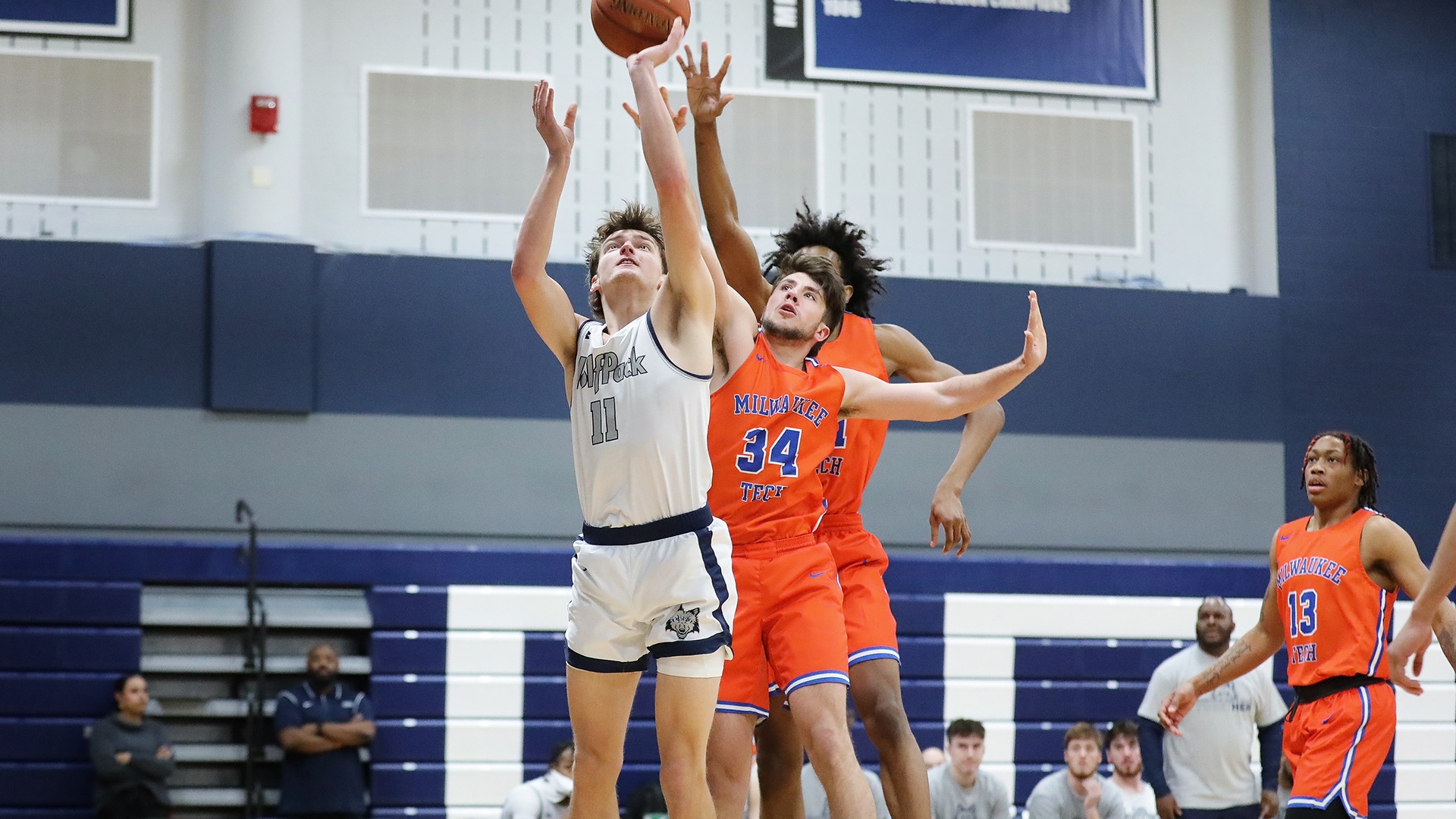 Peter Gustafson - 2023-24 - Men's Basketball - Madison College Athletics