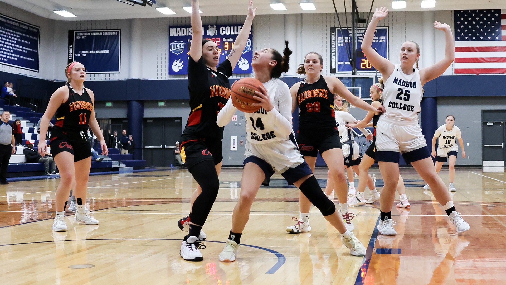 Rottier-Douangmala celebrates birthday with career-high point total ...