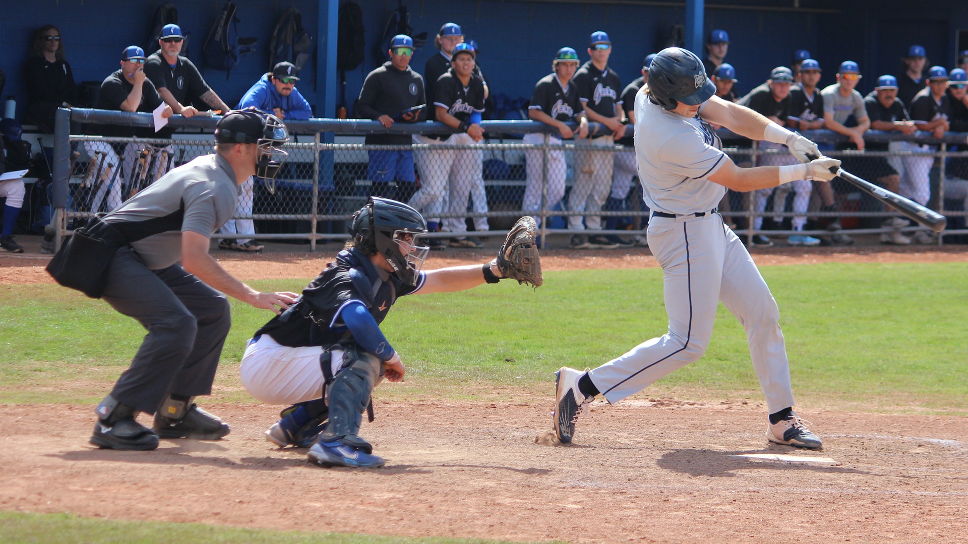 Will Johannes - 2024 - Baseball - Madison College Athletics