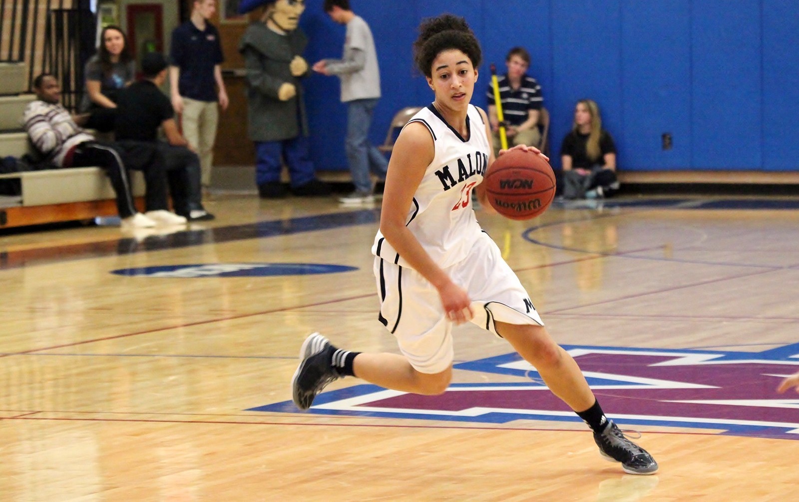 Deborah Simmers - 2013-14 - Women's Basketball - Malone University ...
