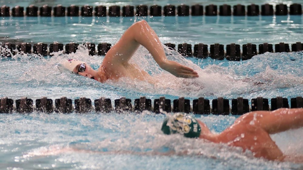Nick Wertz - 2019-20 - Swimming and Diving - Malone University Athletics