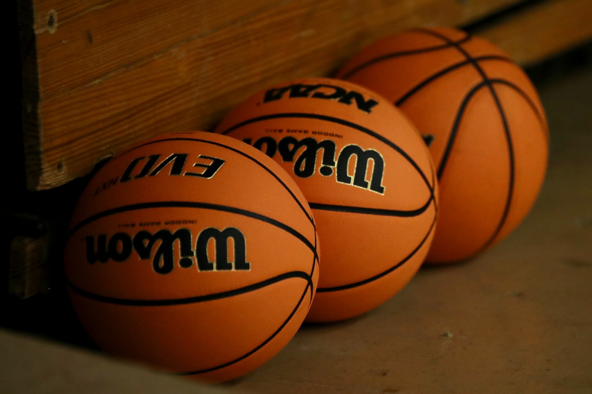 Six Additions Made to the Malone Men's Basketball Roster for the 2024 ...