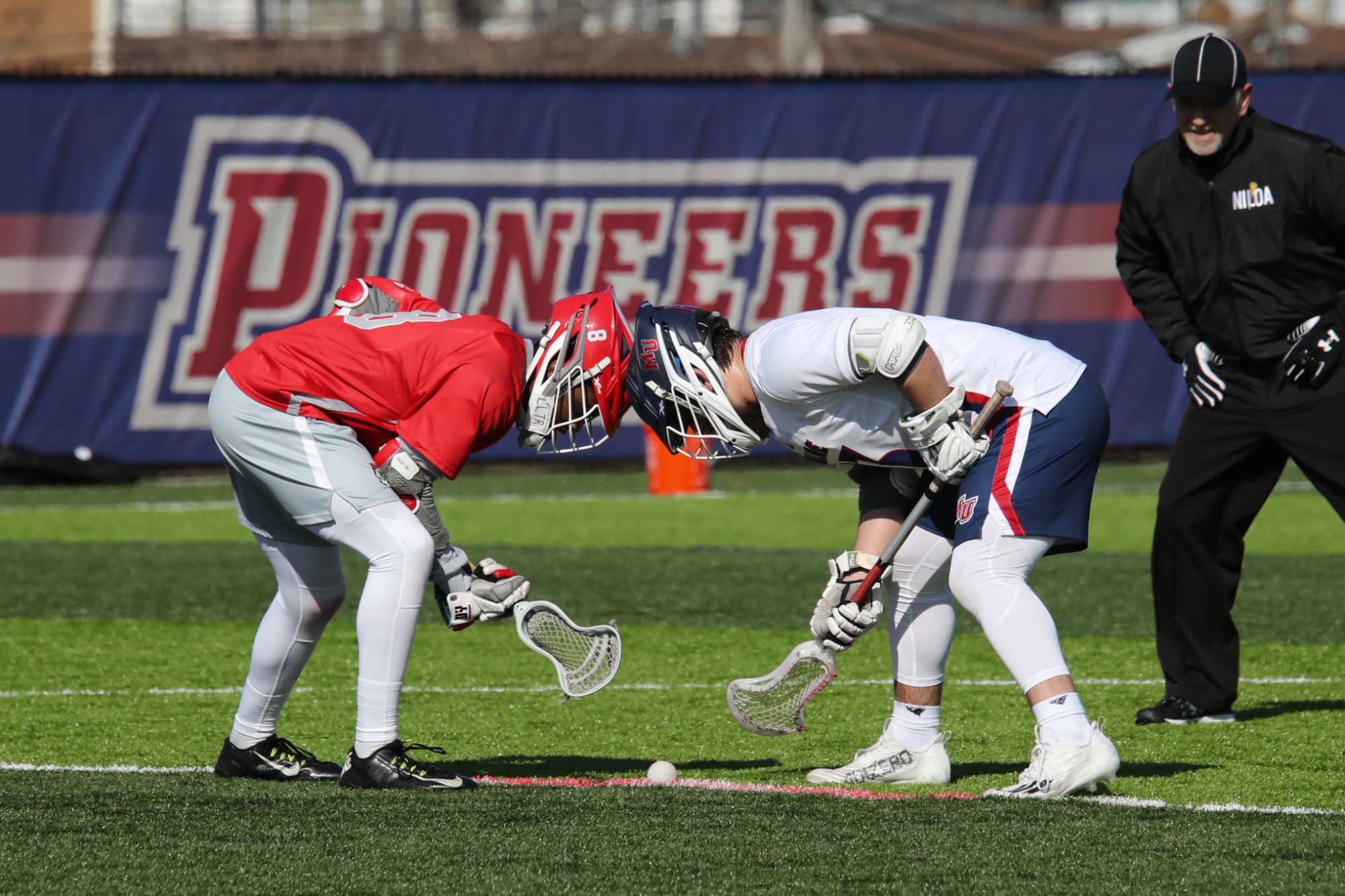 Malone Drops G-MAC Opener to Davis & Elkins - Malone University Athletics