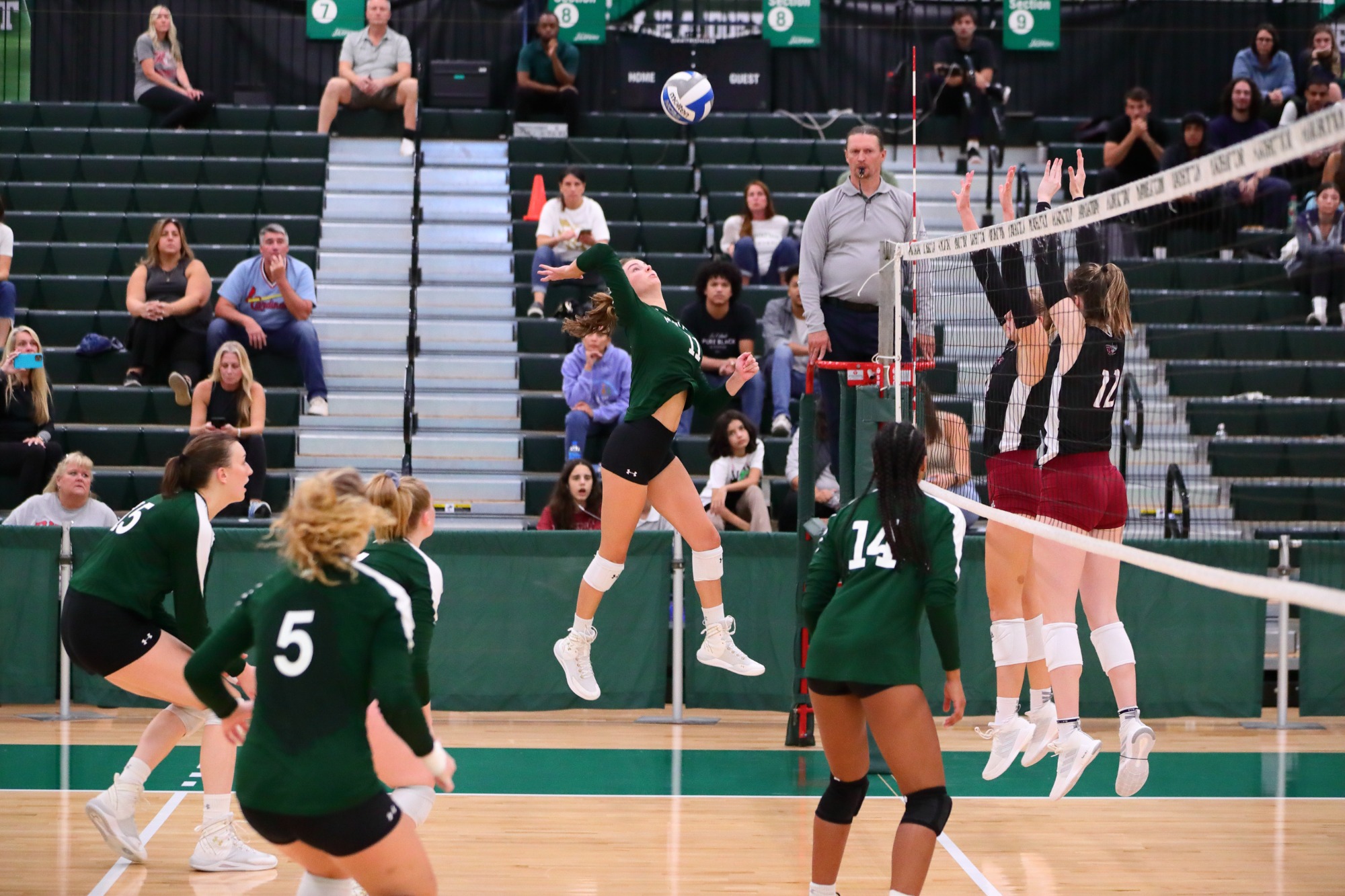 Kelly Markowski - Women's Volleyball - Manhattan College Athletics