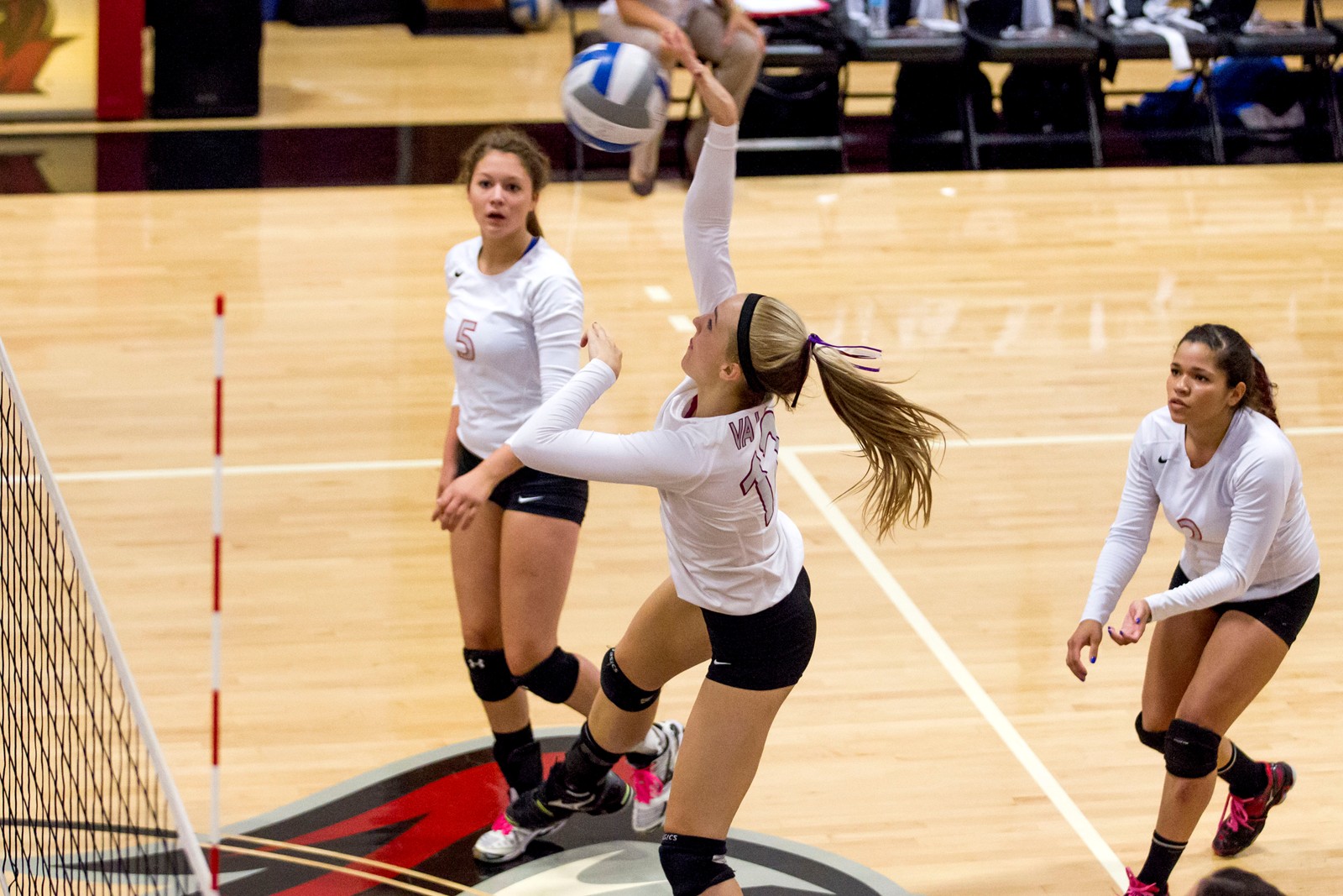 Kerry Mackey - Women's Volleyball - Manhattanville College Athletics