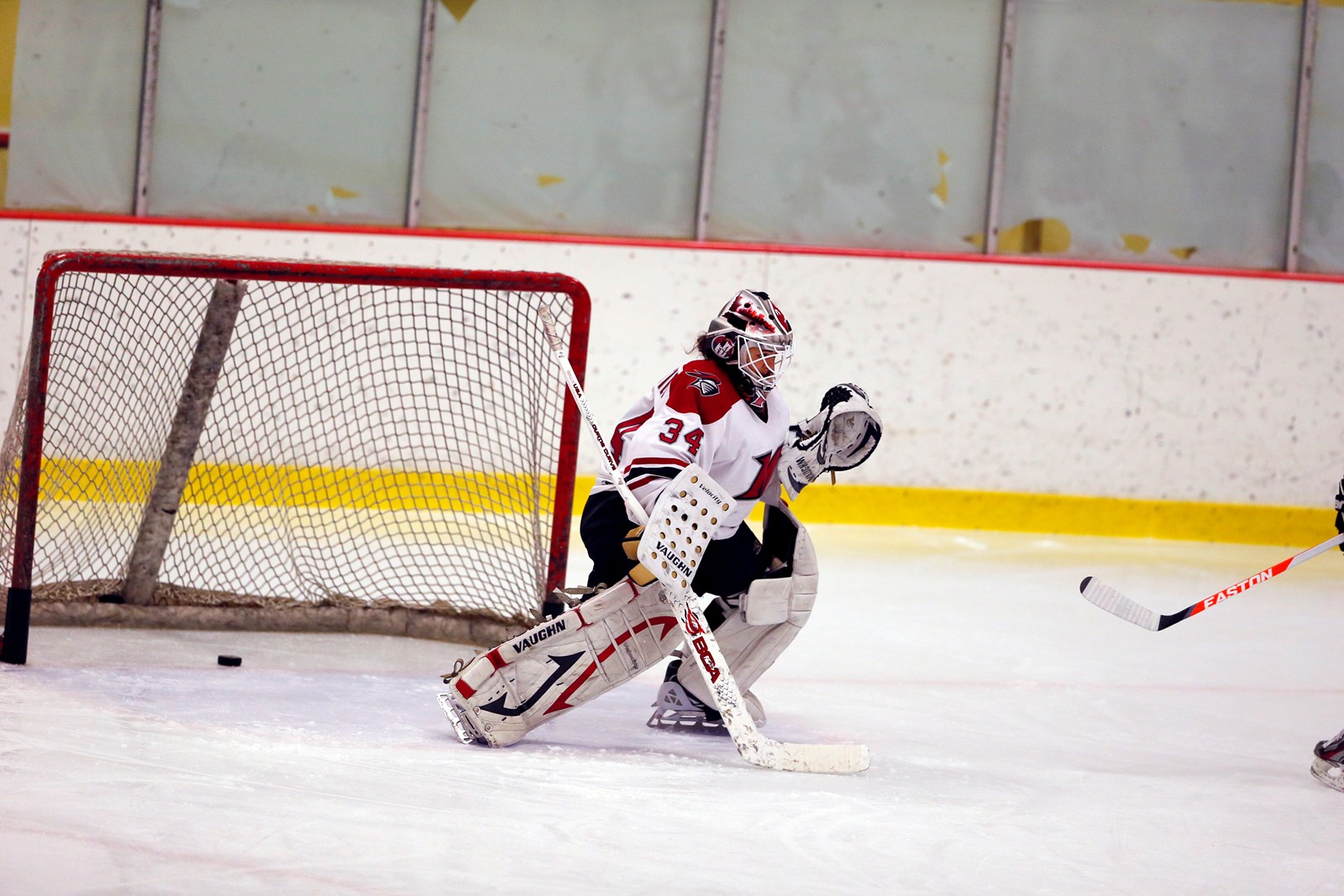 Dana DeMartino - Women's Hockey - Manhattanville College Athletics