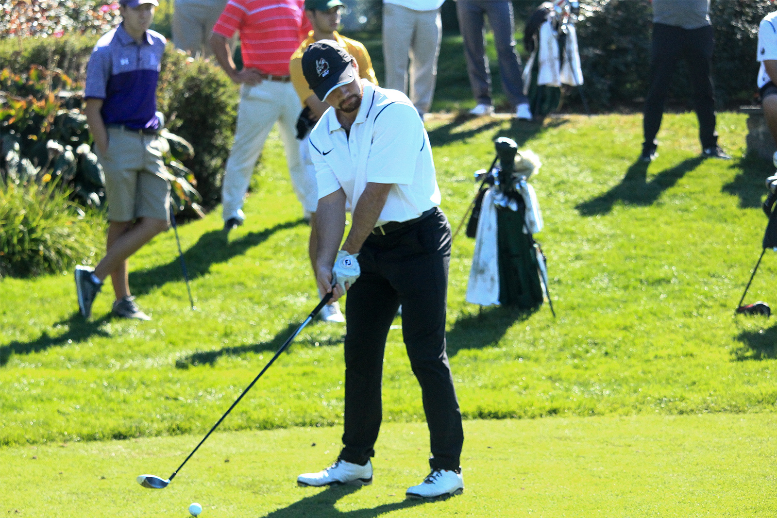 Bryan Platt - Men's Golf - Manhattanville College Athletics