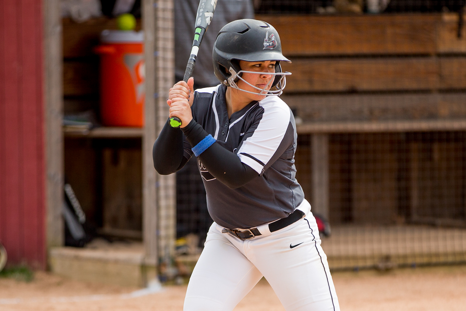 Softball Surpasses 30-win Mark for Second Time in Three Seasons with ...