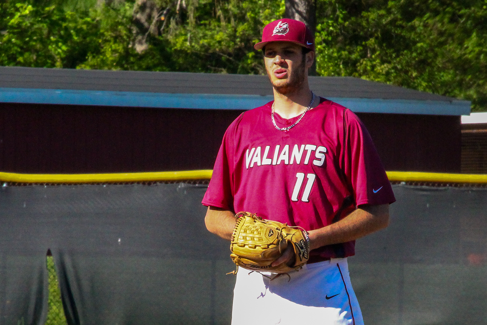 Danny Meduri - Baseball - Manhattanville College Athletics