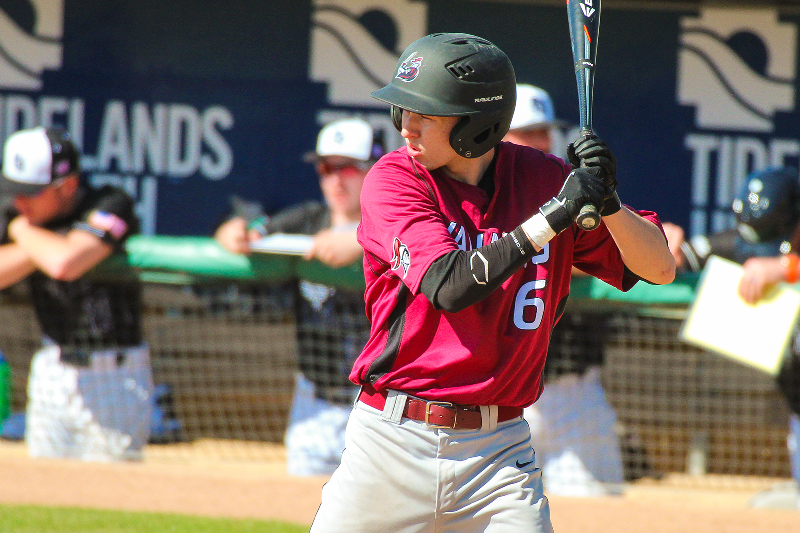 Matt Lynch - Baseball - Manhattanville University Athletics