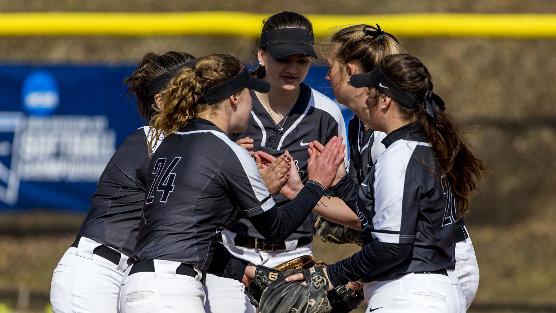 Sophia Chapelone - Softball - Manhattanville College Athletics