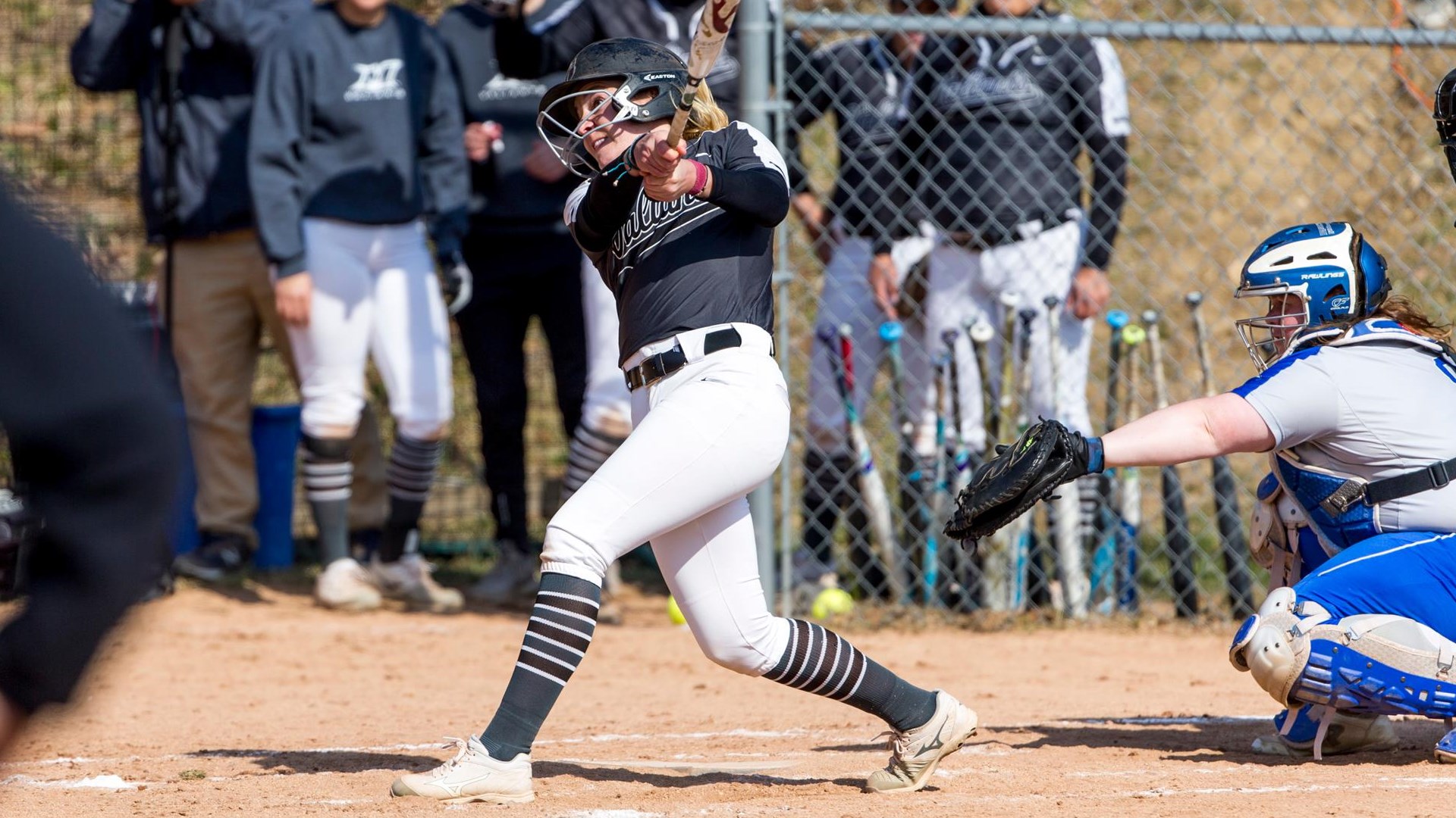 Sophia Chapelone - Softball - Manhattanville College Athletics