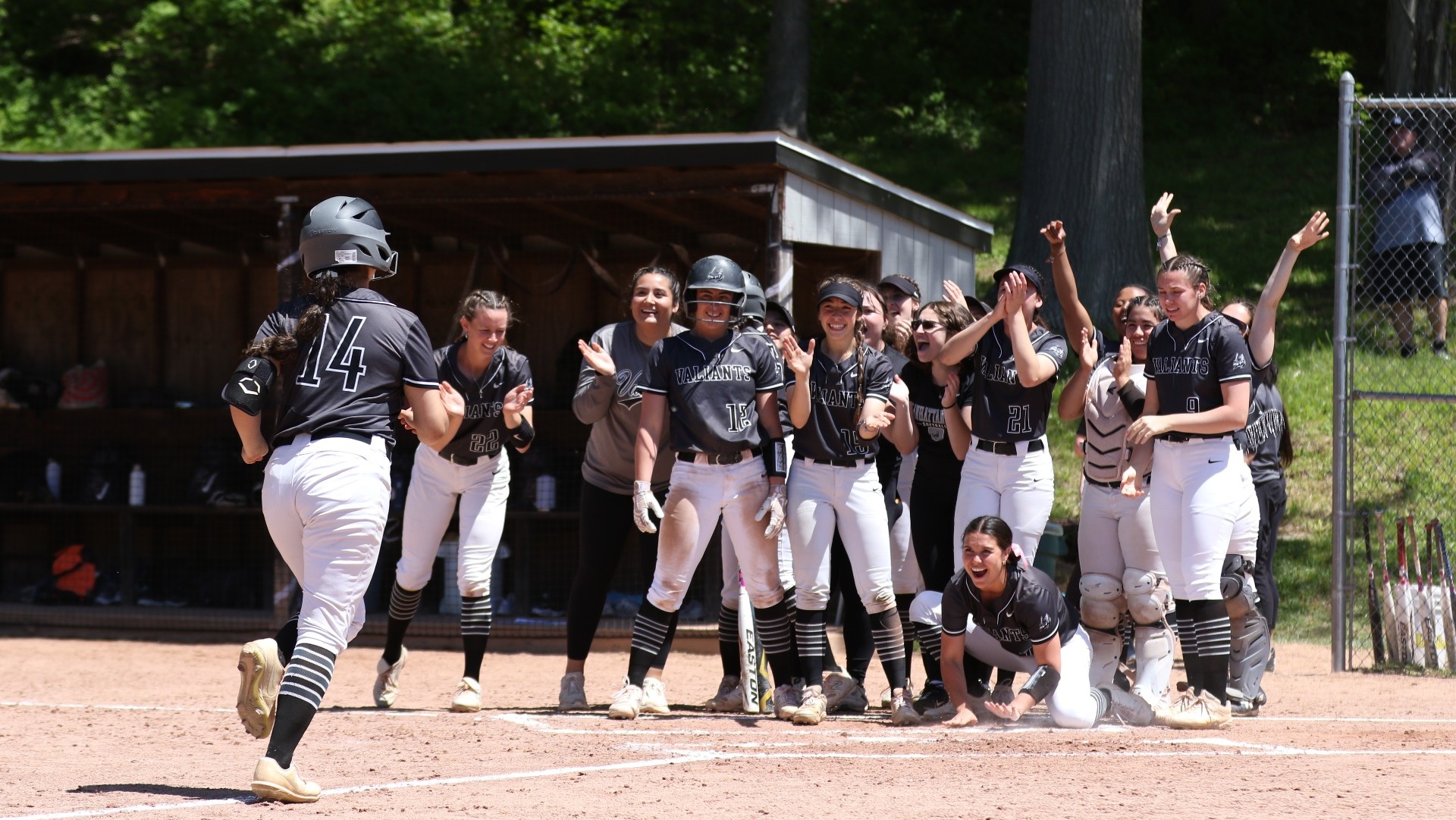 Softball Sweeps Farmingdale to Complete Perfect 18-0 Skyline Regular ...
