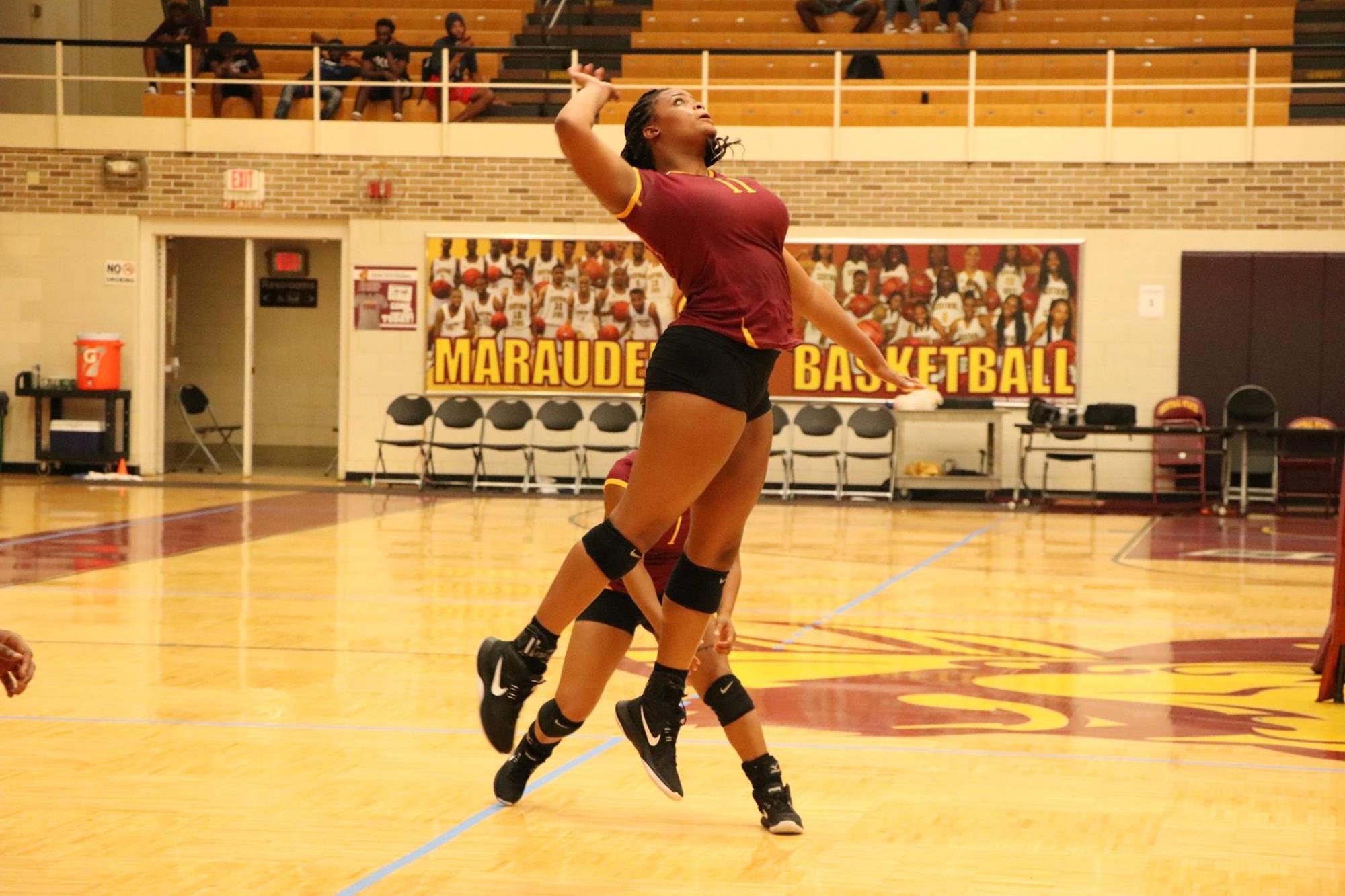 Deja Clark - Women's Volleyball - Central State University Athletics