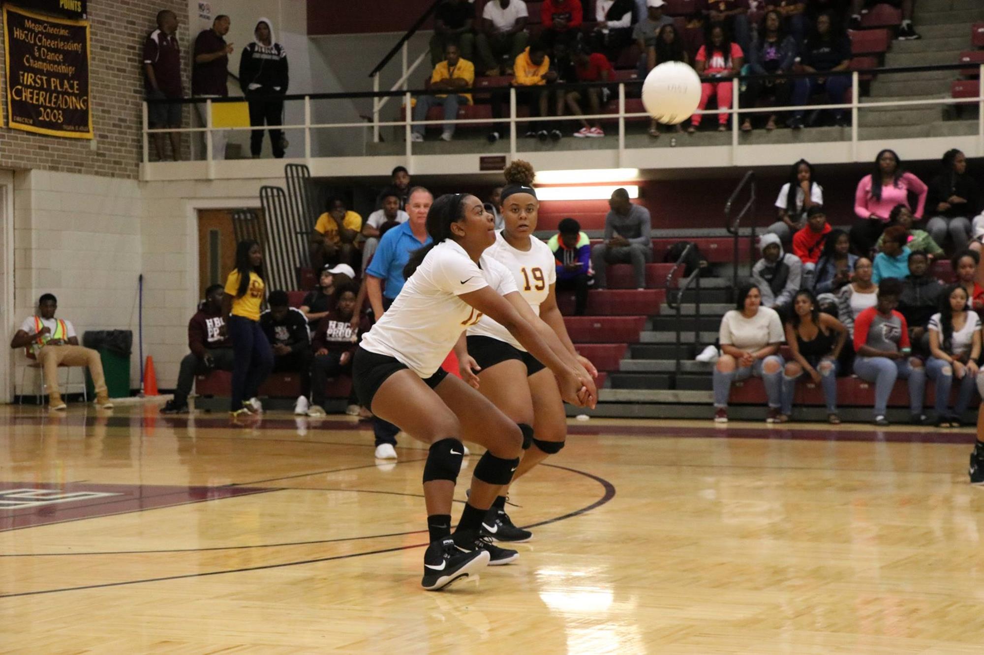 Desiree Howard - Women's Volleyball - Central State University Athletics