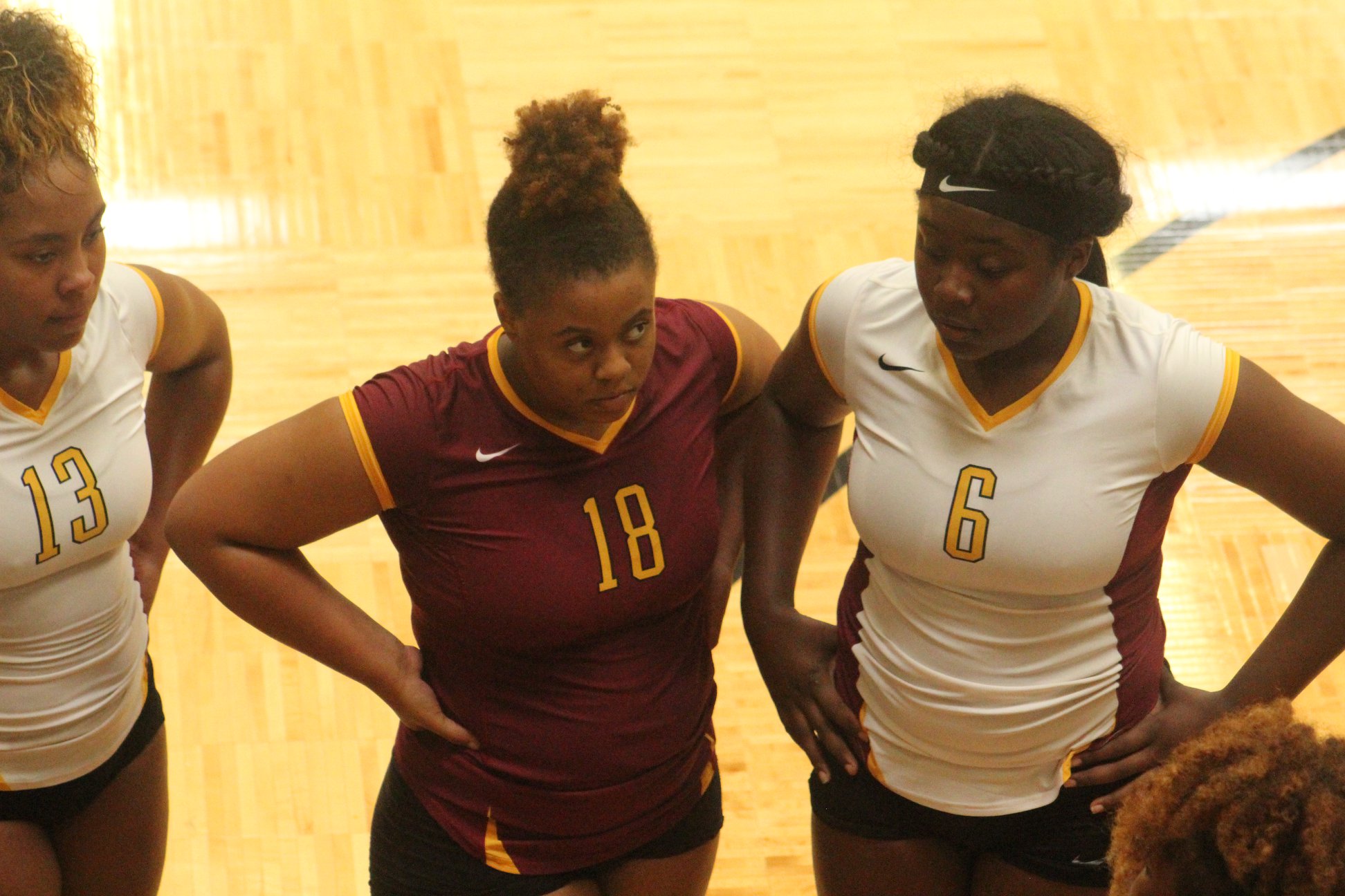 Danielle Lyttle - Women's Volleyball - Central State University Athletics