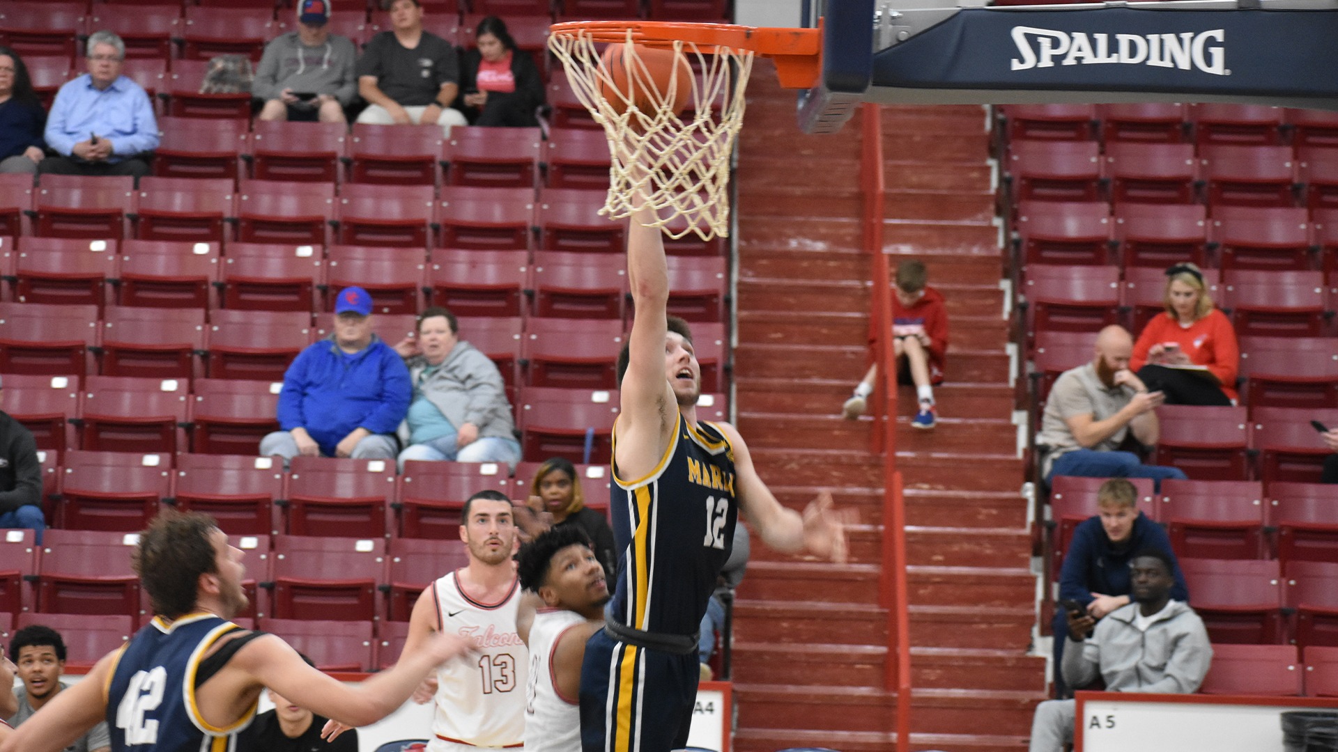 Brody Whitaker - 2023-24 - Men's Basketball - Marian University Ind.