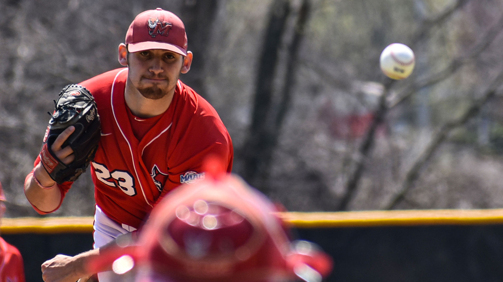 Tony Romanelli - Baseball - Marist College Athletics
