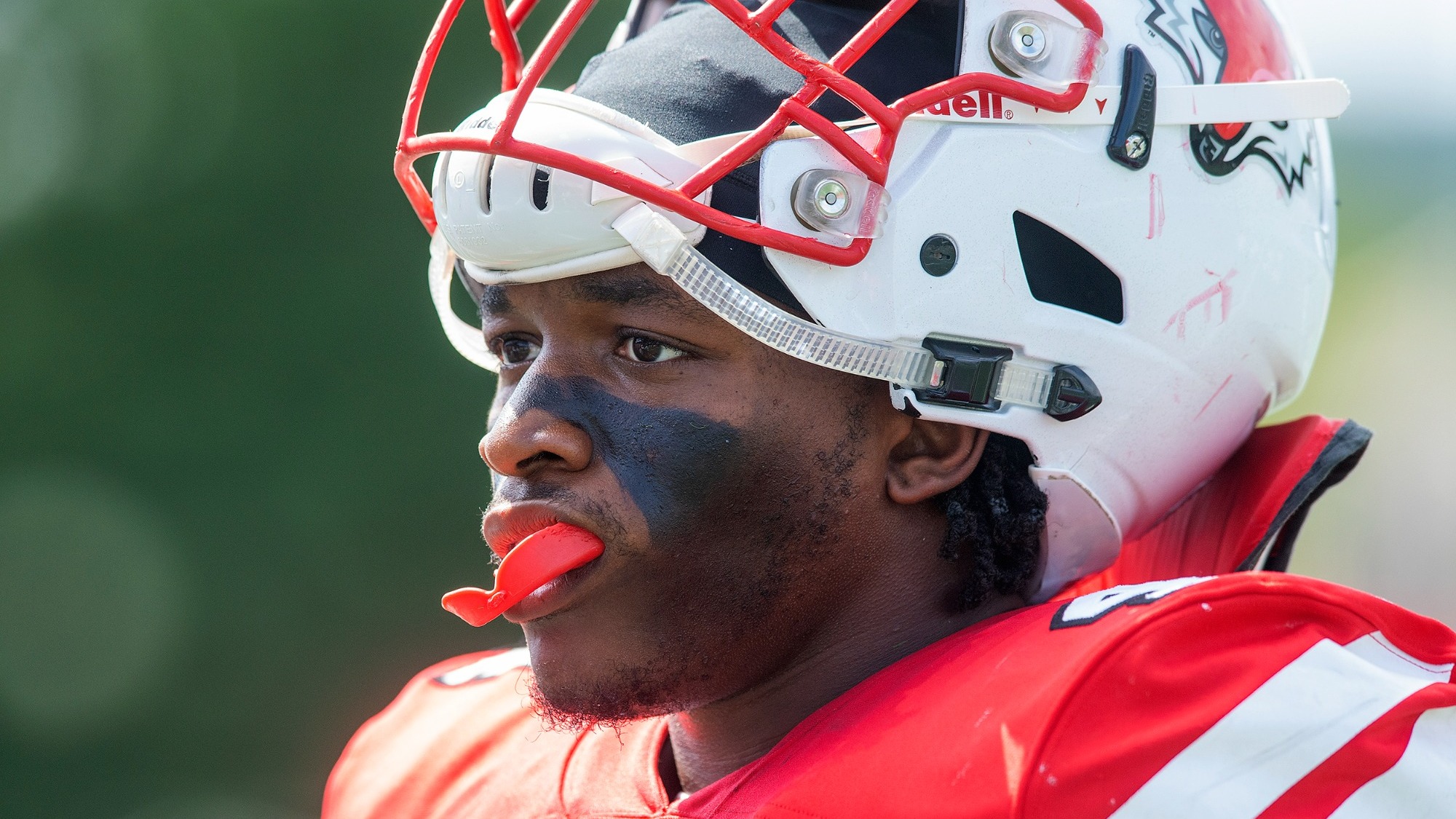 Arthur Pinckney - Football - Marist College Athletics
